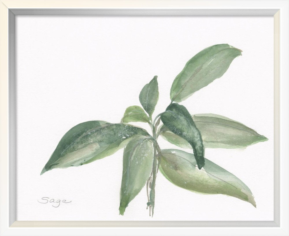 East Urban Home Sage I by Chris Paschke - Picture Frame Print on Canvas ...