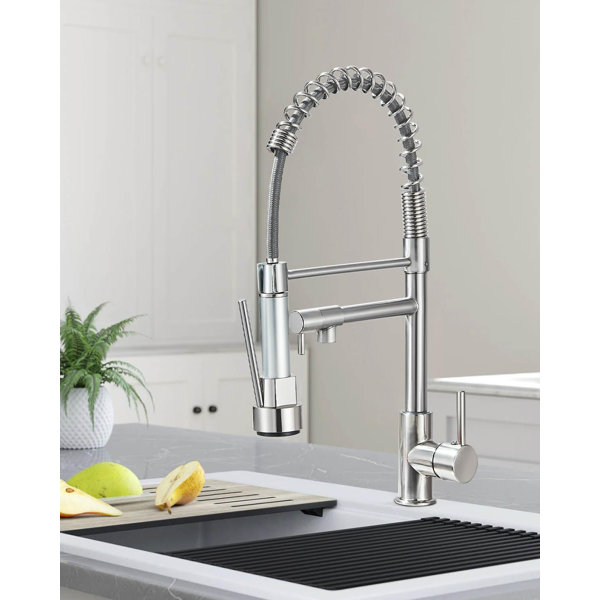 AlenArtWater Kitchen Faucet, Spring-Neck + Pull-Out Dual Structure ...