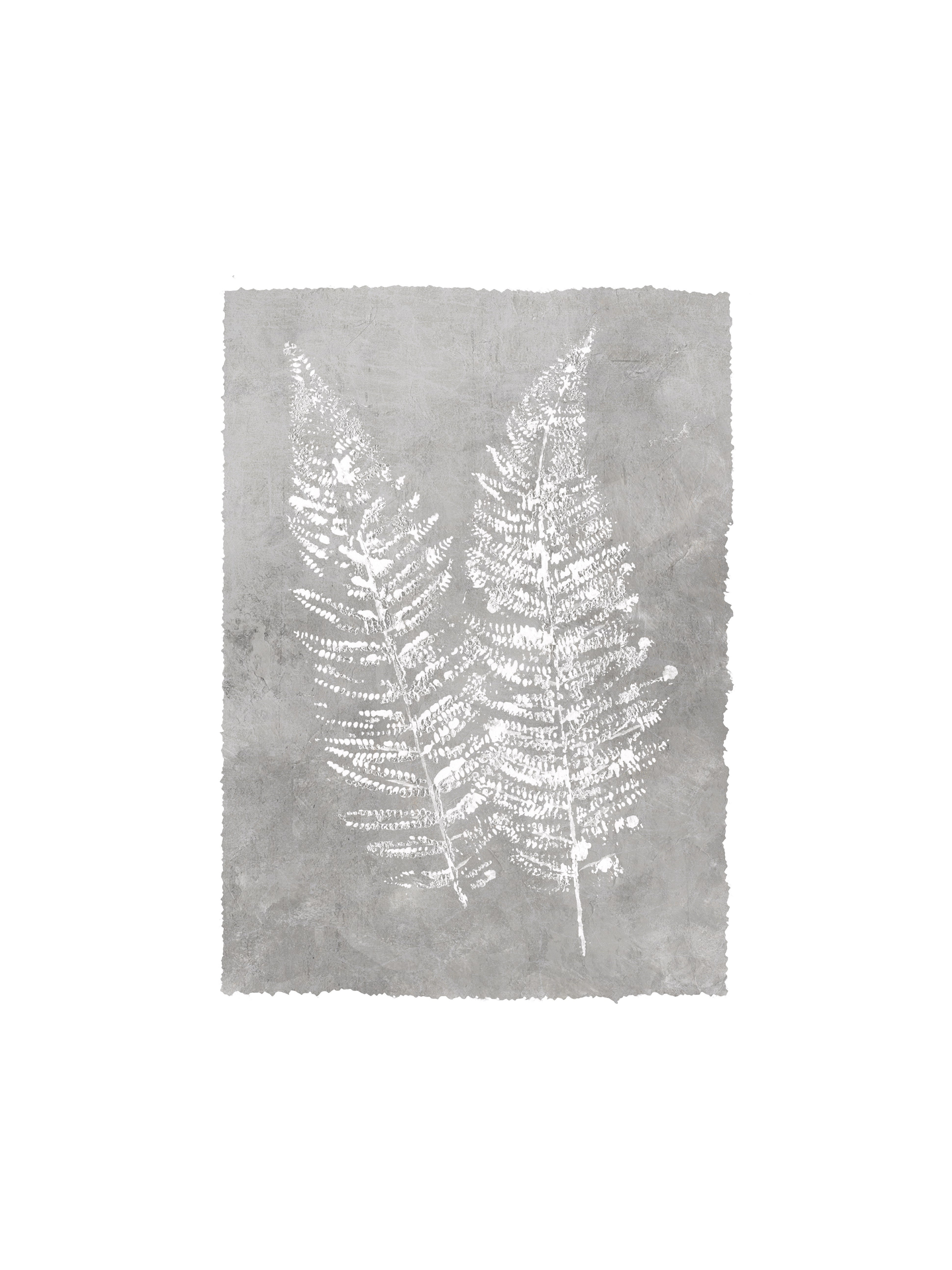 Winston Porter Light Gray Ferns With White Border On Canvas Print | Wayfair