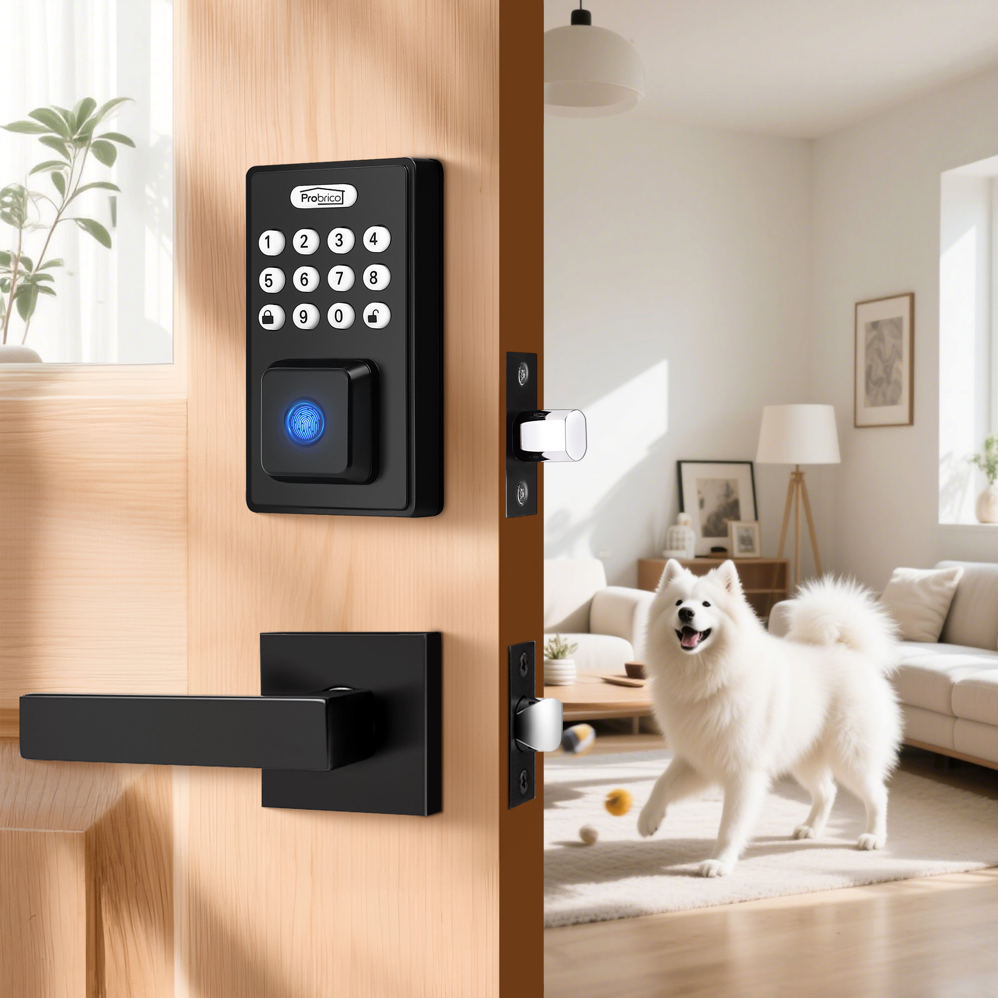 Probrico Smart Keyless Entry Door Lock with Handle Lock Set with ...