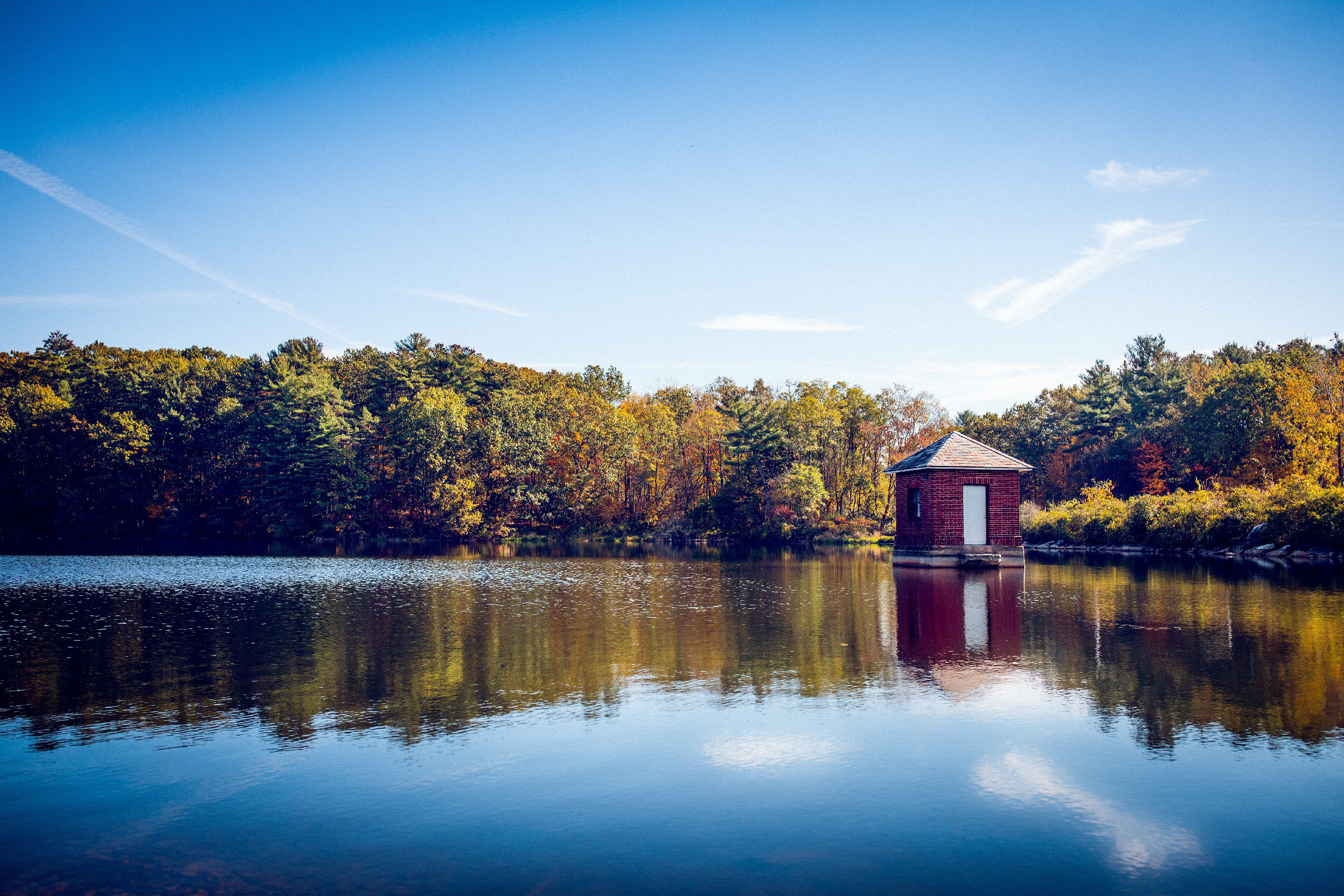 Millwood Pines Saratoga Lake by Benjamin Vilge - Wrapped Canvas ...
