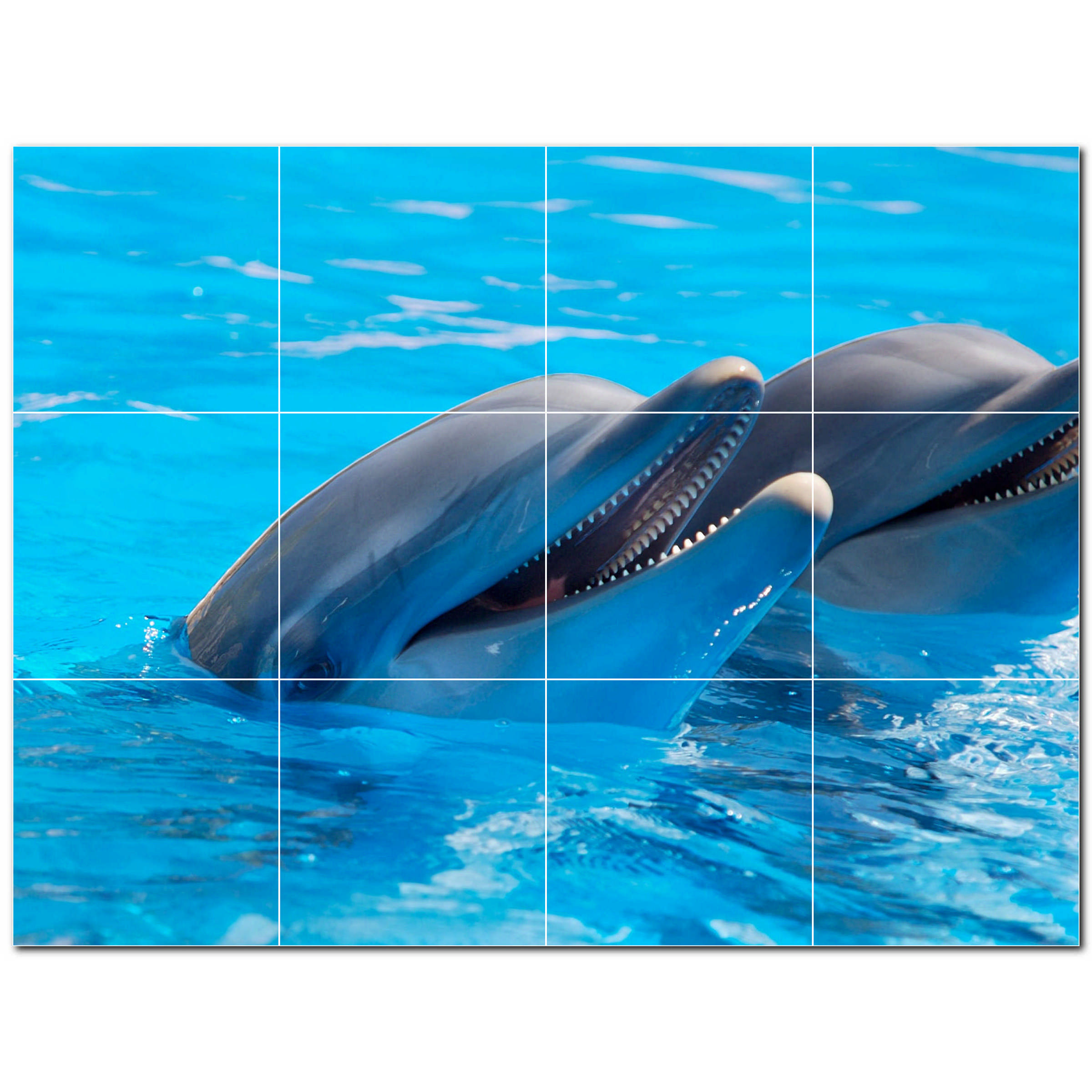 Picture-Tiles.com 24" x 32" Ceramic Dolphin Photo Decorative Mural Tile ...