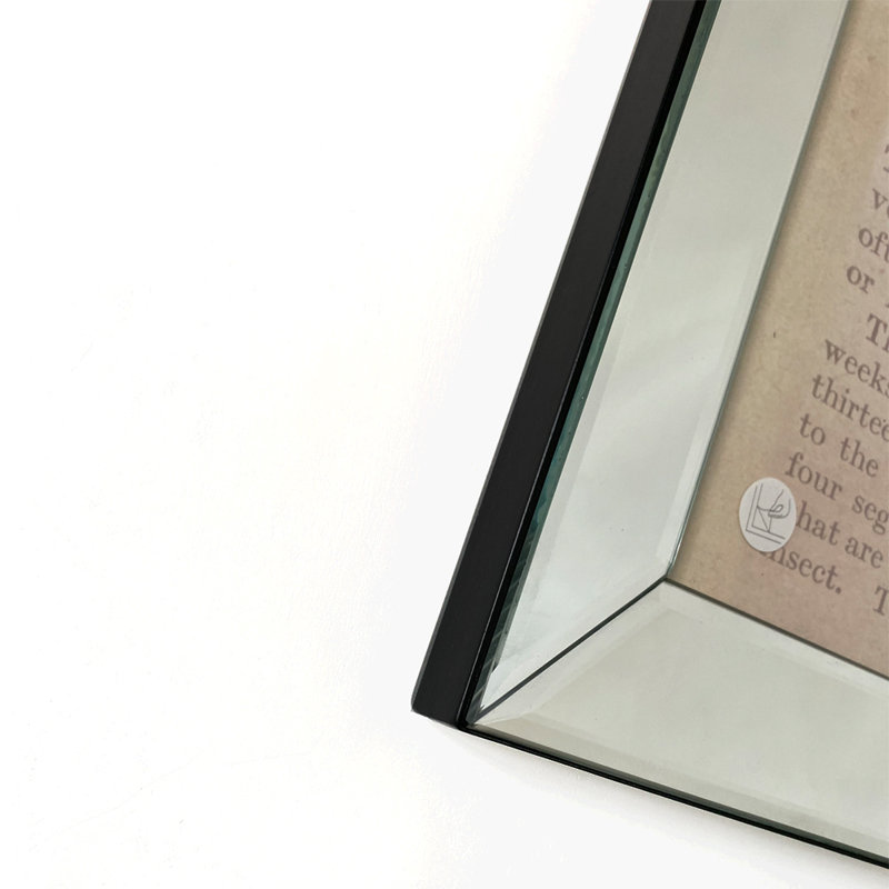 August Grove® Yoel Beveled Single Picture Frame in Mirror & Reviews ...