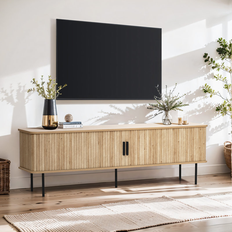 Hokku Designs Aria 62.6'' W Mid-Century Modern TV Stand with Storage ...
