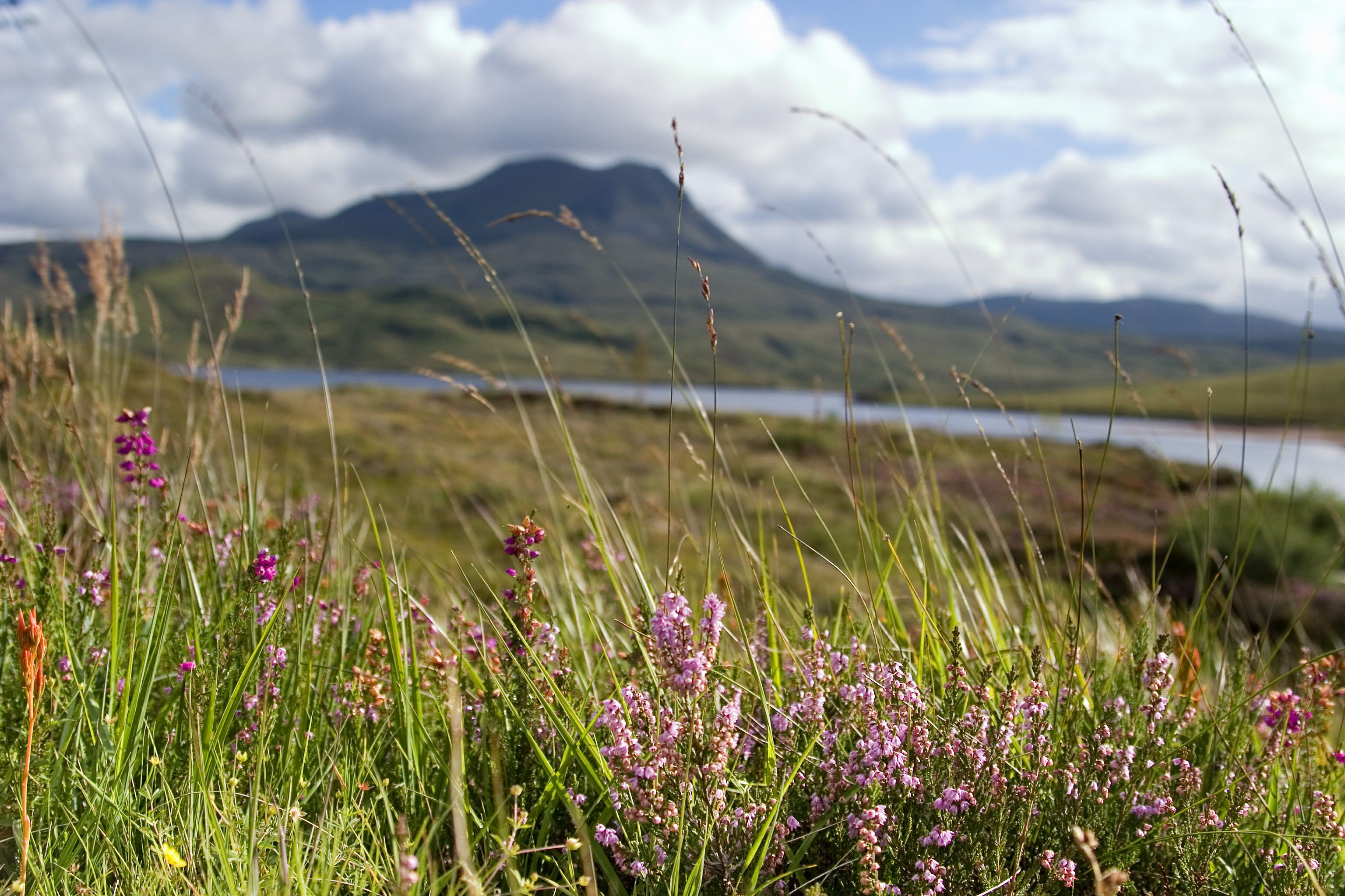 Ebern Designs Beautiful Highlands of Scotland - Wrapped Canvas ...