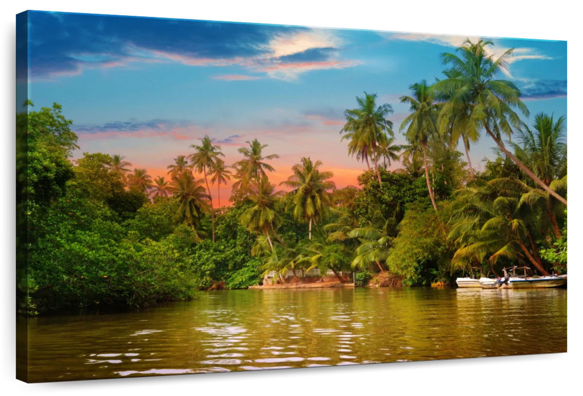 Millwood Pines Alvord Riverside Palm Trees | Wayfair