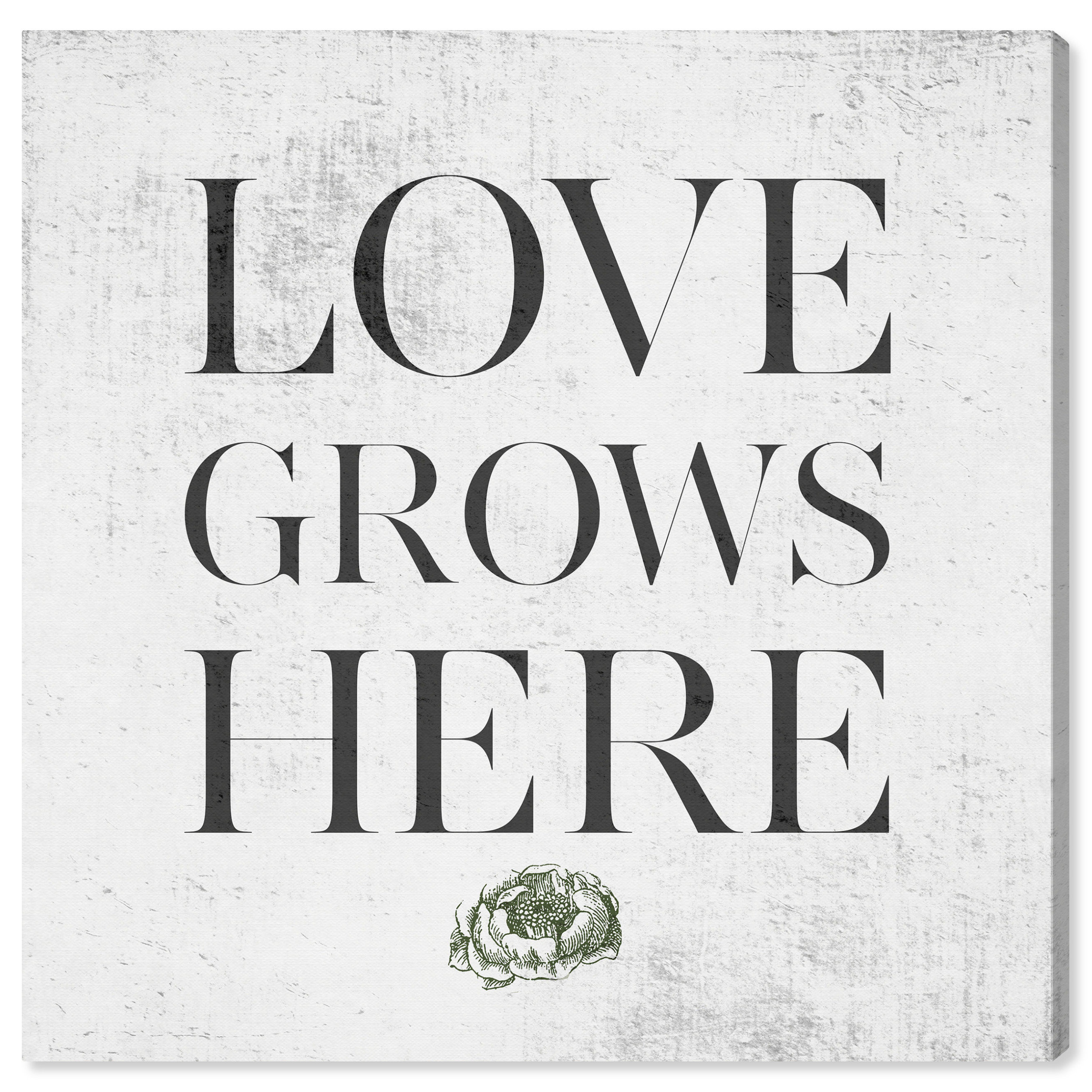 Trinx Typography and Quotes Love Grows Here Concrete Modern Grey Canvas ...