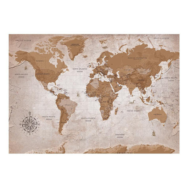Longshore Tides Peel and Stick World Map Wall Mural - Brown World Map ...