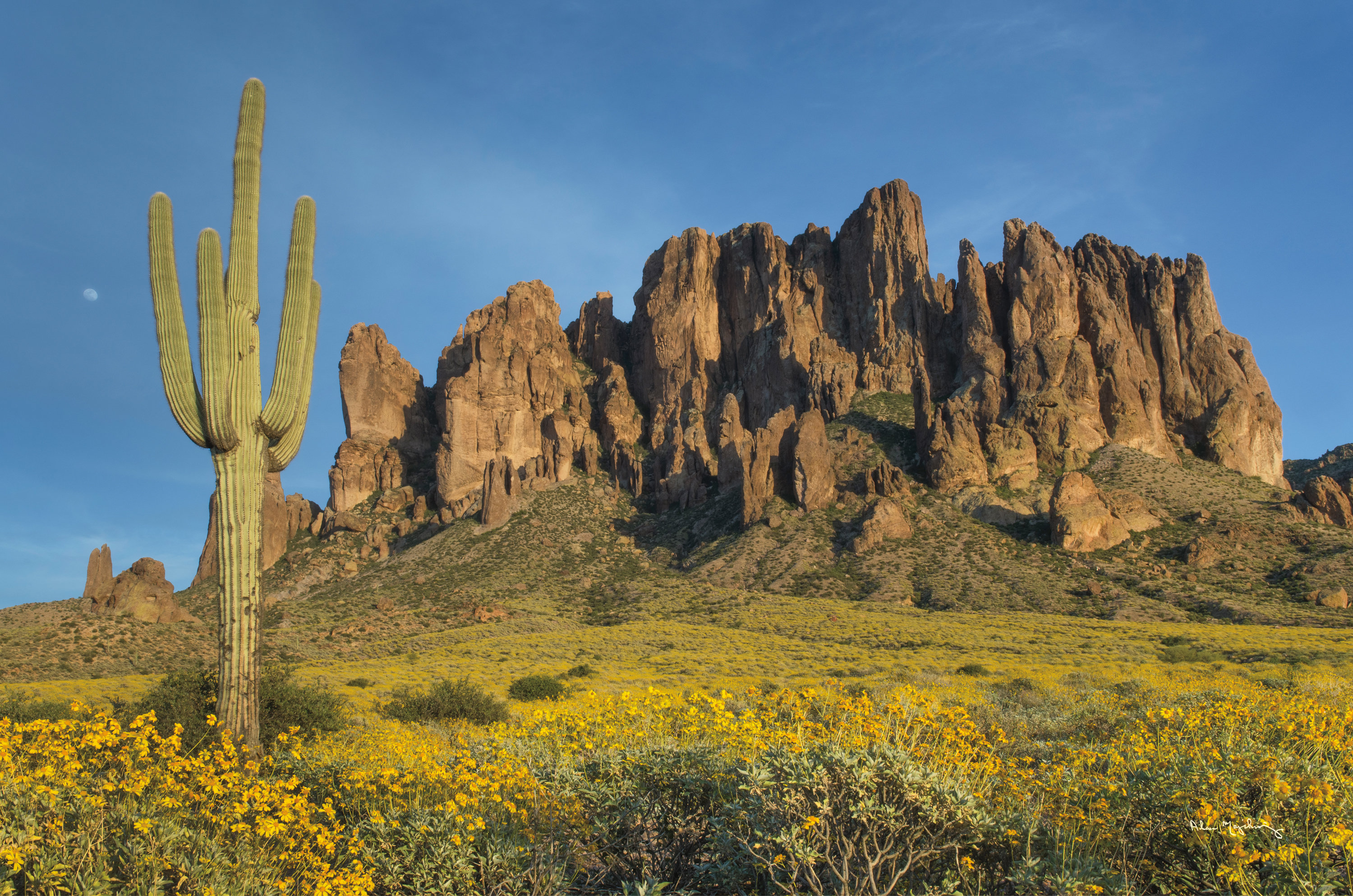 Union Rustic Keimy Superstition Mountains Saguaro On Canvas by Alan ...