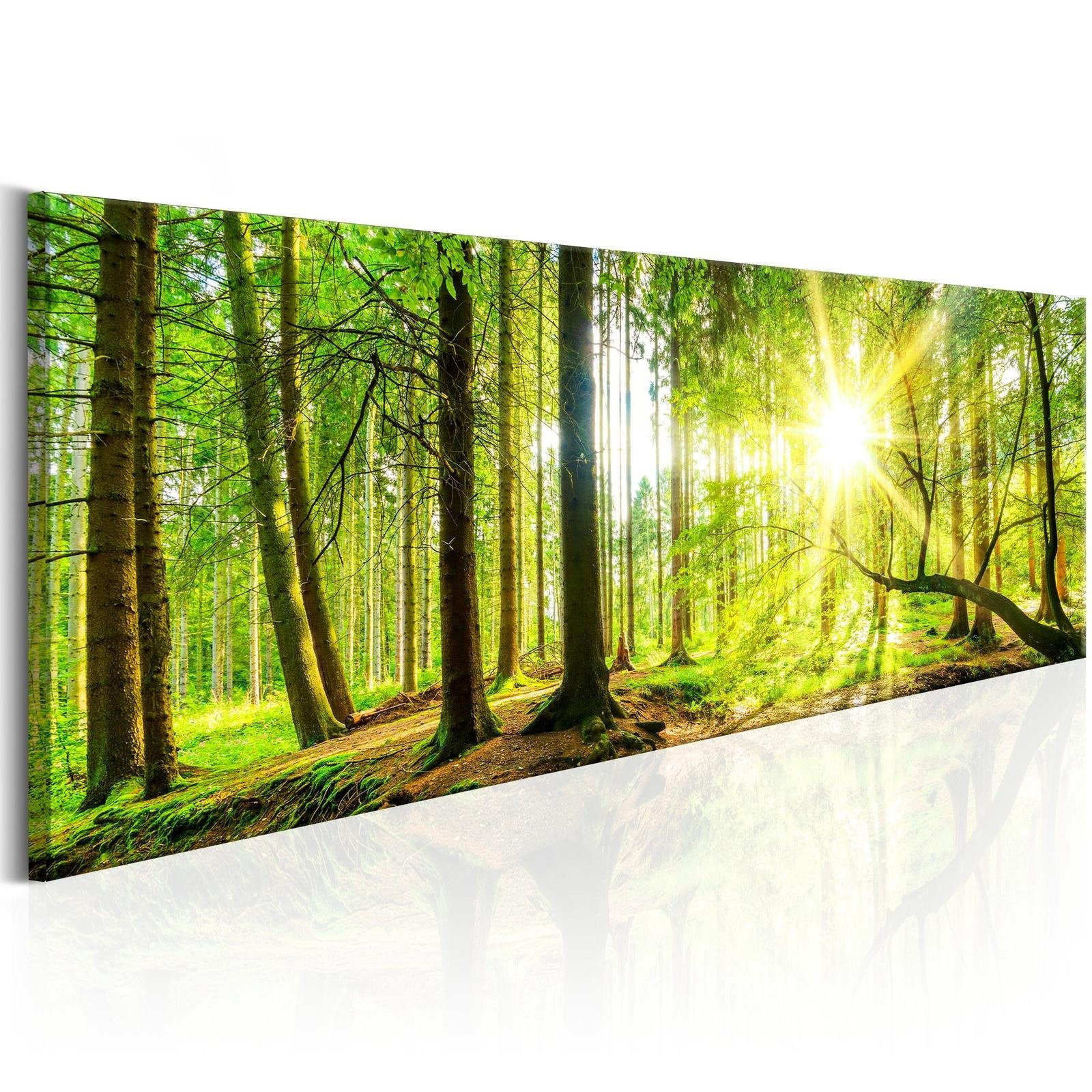Millwood Pines Stretched Canvas Landscape Art - Majestic Trees ...