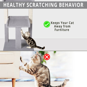 Tucker Murphy Pet™ Tott and Eling 2-Tier Cat Tree Tower; Cat Condo with ...