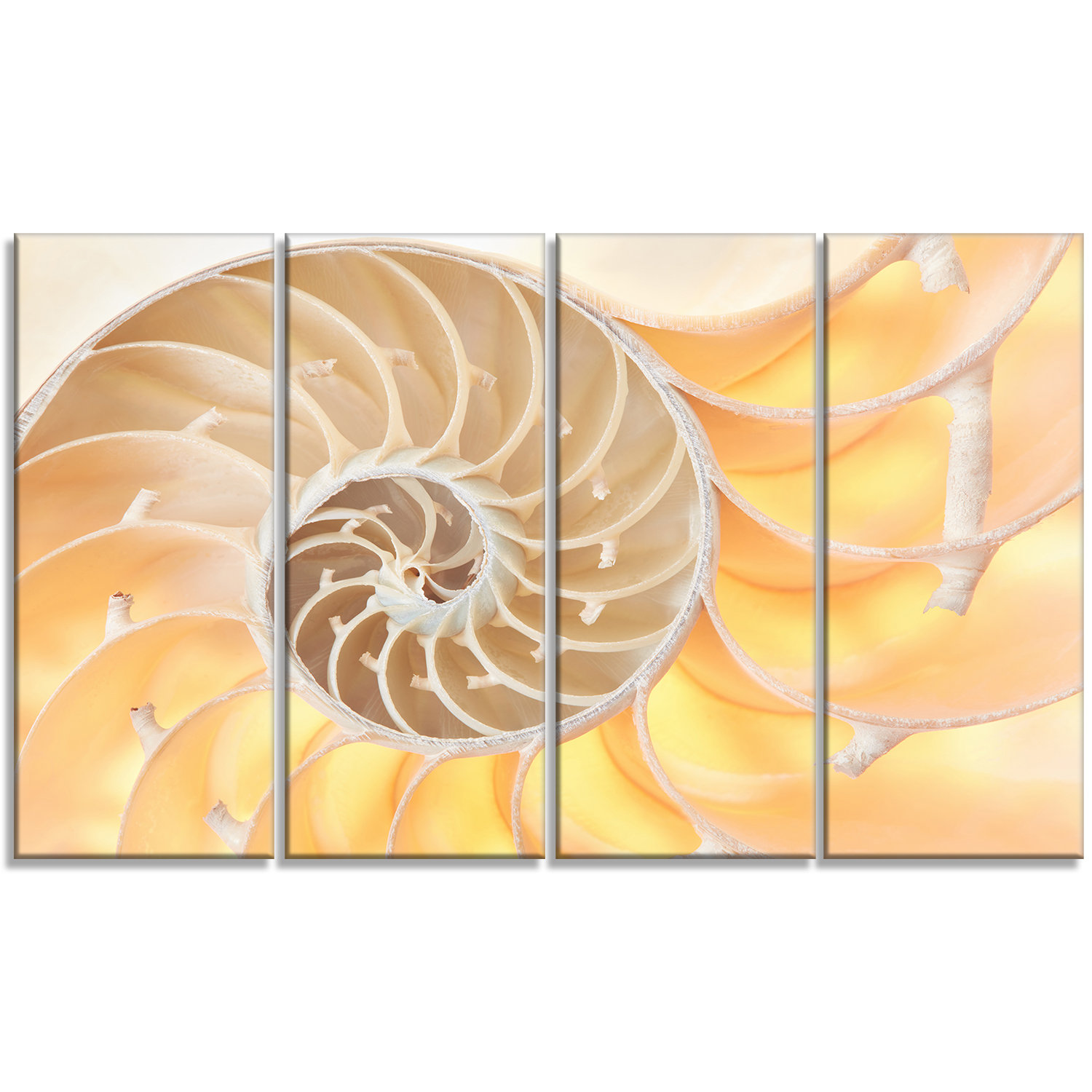 DesignArt " Golden Nautilus Shell Pattern " 4 - Pieces | Wayfair