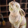 The Holiday Aisle® Modern Faux Concrete Rabbit With Head Up In ...