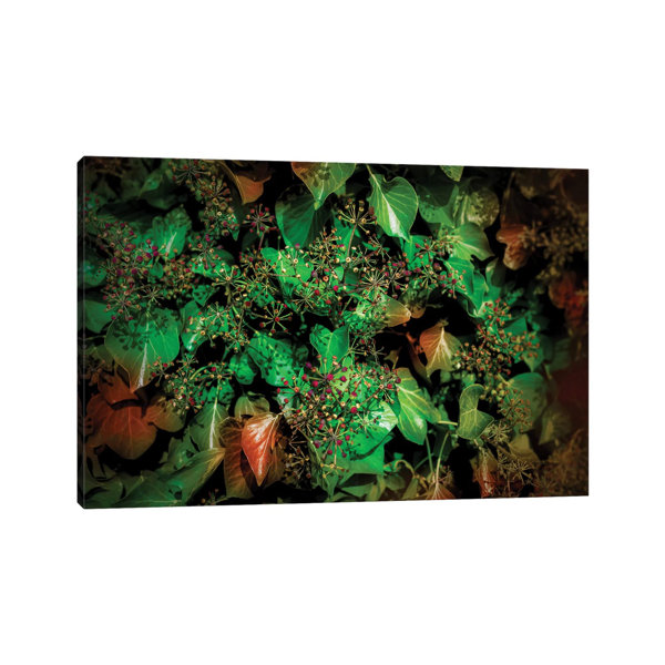 Ebern Designs Autumn Leaves by Beli - Wrapped Canvas Art Prints ...