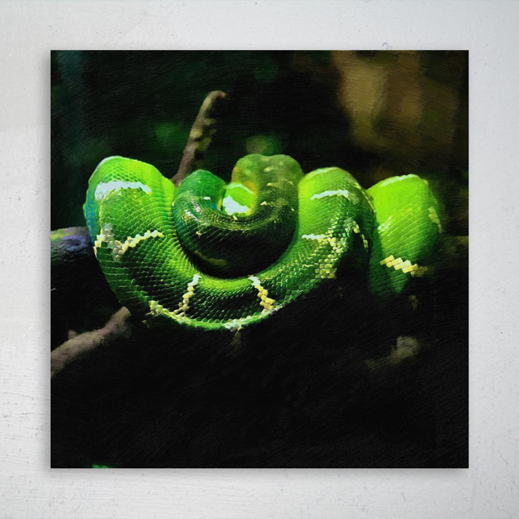 Latitude Run® Green And White Snake On Brown Tree Branch 1 - Wrapped ...