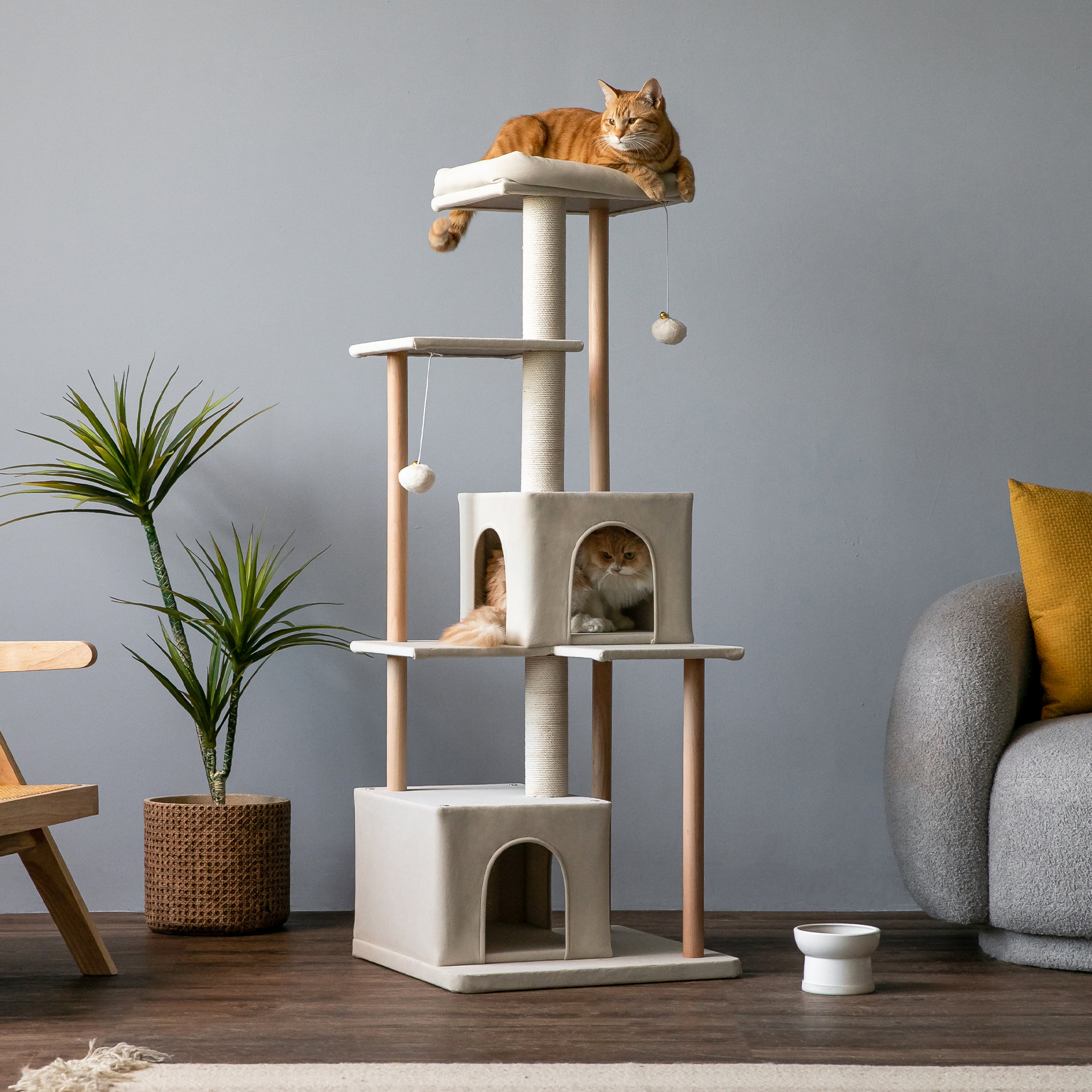 Tucker Murphy Pet™ 53" Davied Cat Tree & Reviews | Wayfair
