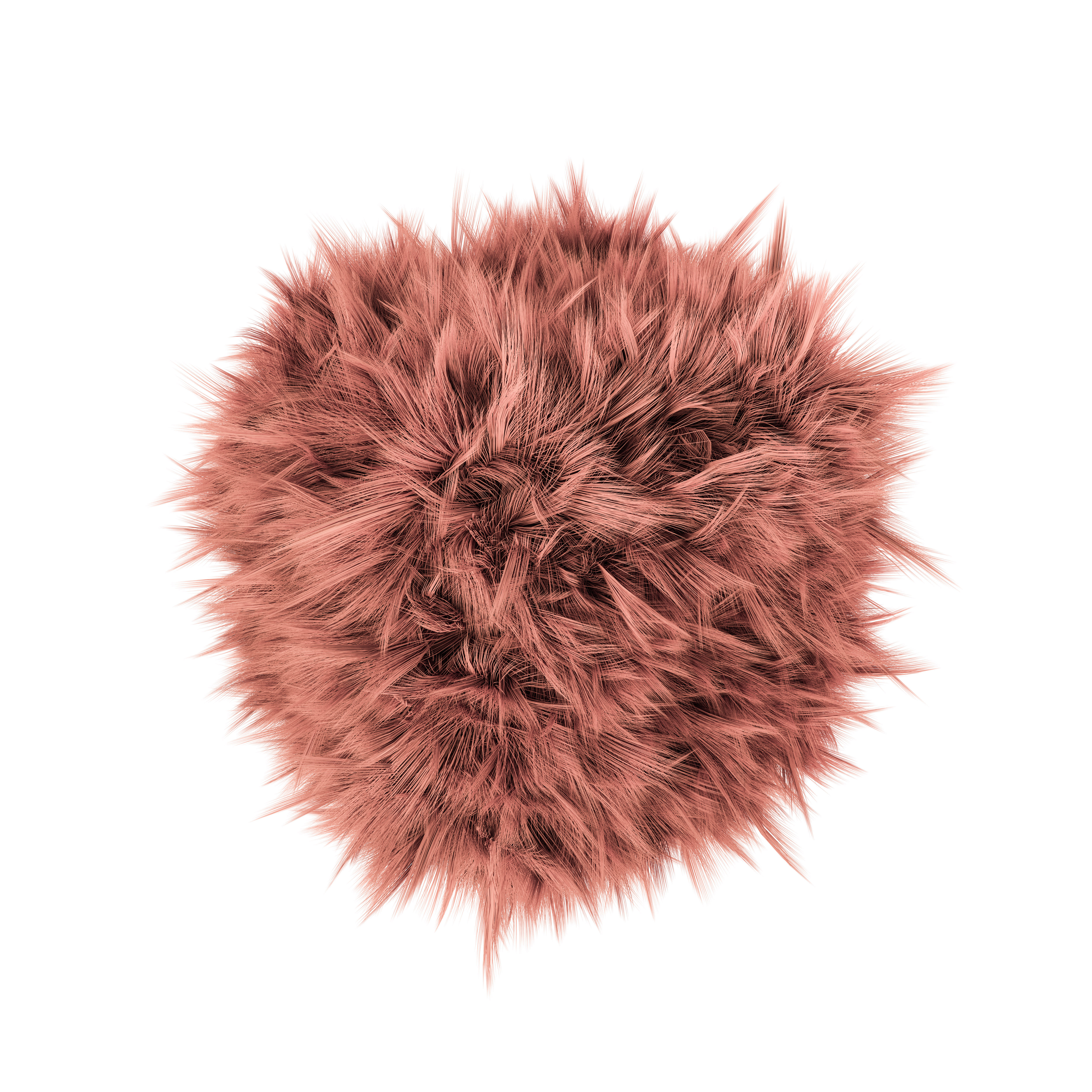 Canora Grey Ball of Fur by Homeworks255 - Wrapped Canvas Photograph ...