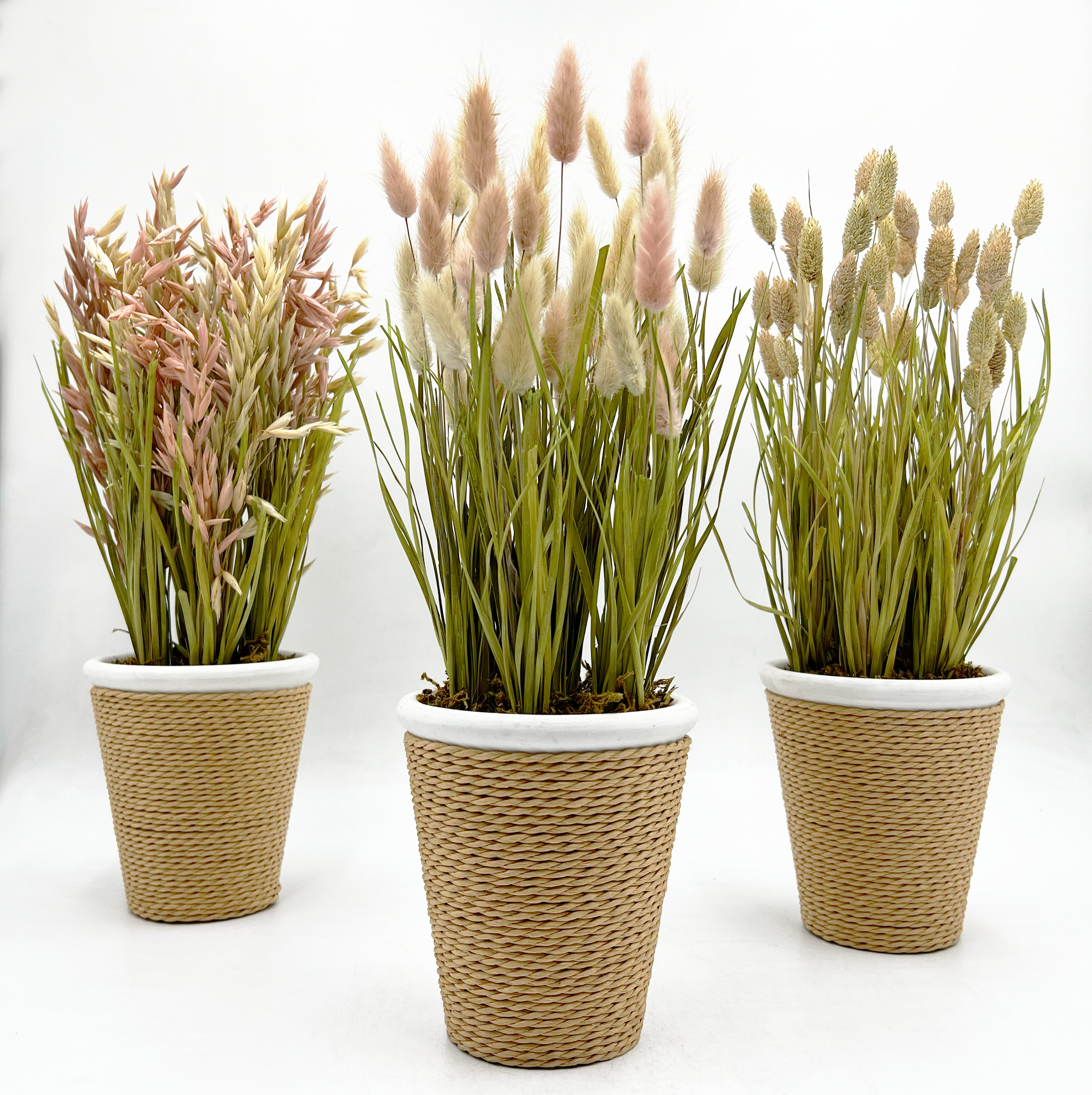 Primrue Set of 3 - 15 Inch Preserved Decorative Rustic Oat, Canary ...
