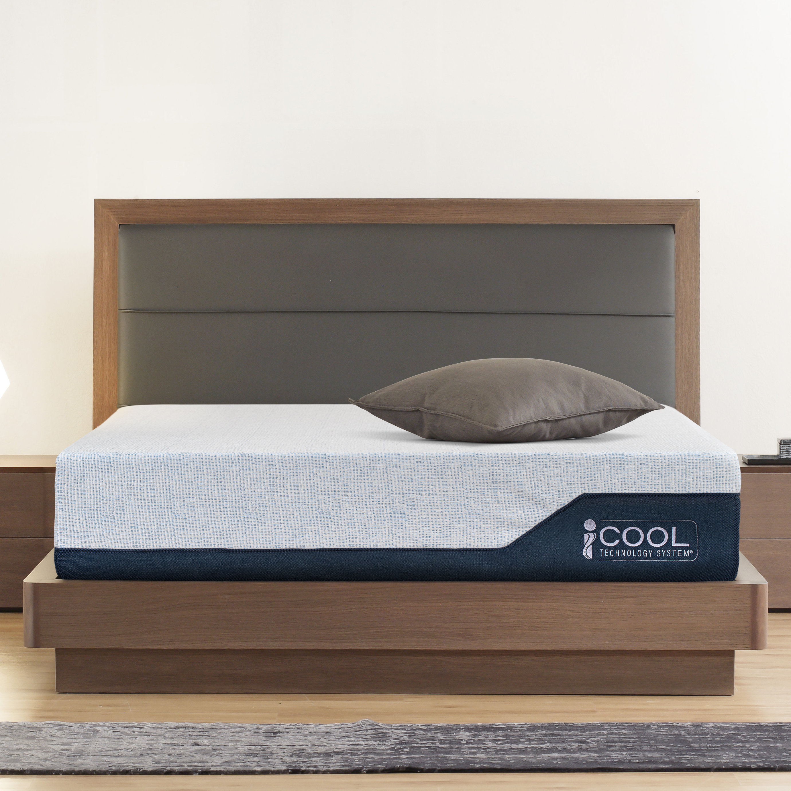 SwissLUX Swiss Lux 14 In. Icool Medium Plush Mattress & Reviews ...