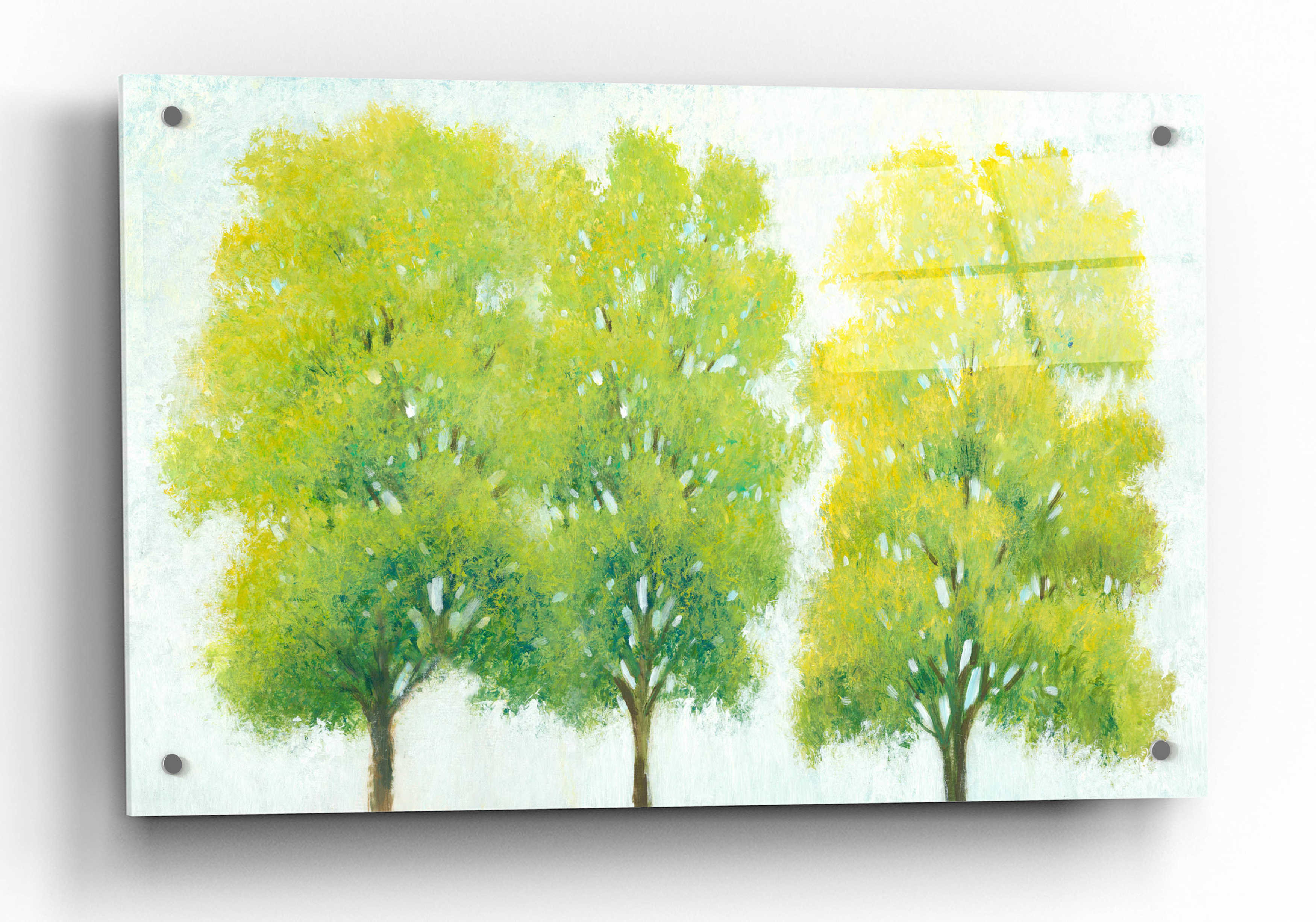 Winston Porter 'Spring Eternal I' By Tim O'Toole, Acrylic Glass Wall ...