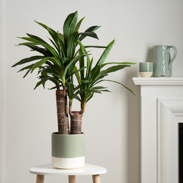 17 Stories 203.2cm Faux Yucca Tree in Pot | Wayfair.co.uk