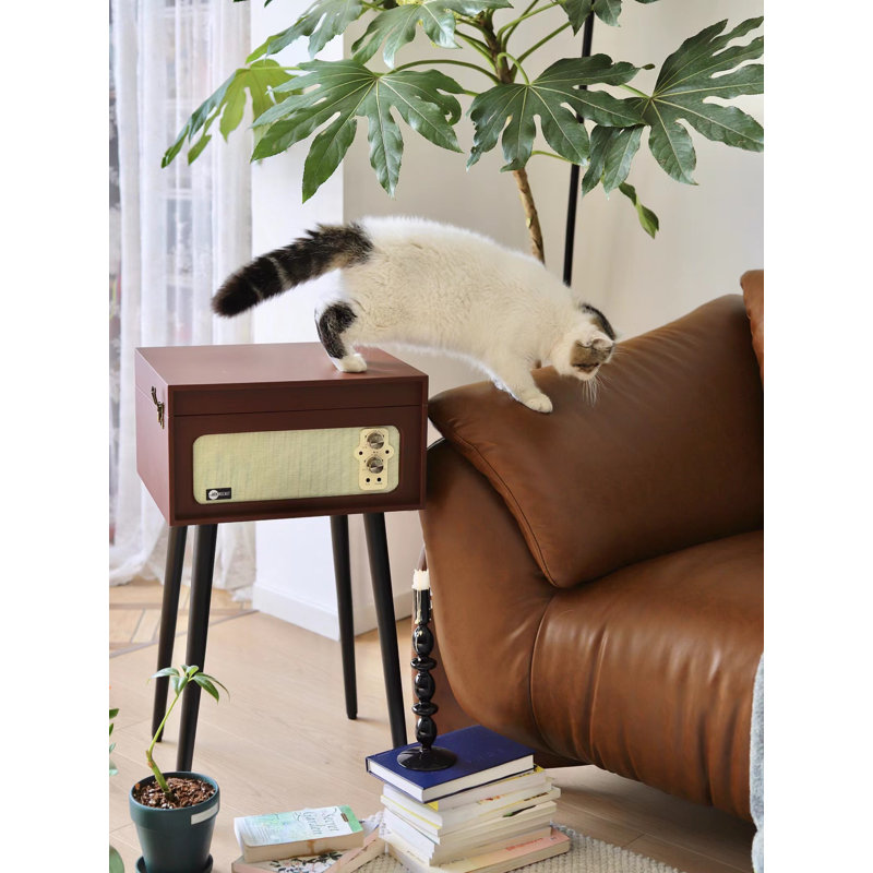 Arkrocket Audio Arkrocket Discovery Bluetooth Record Player Stand with ...