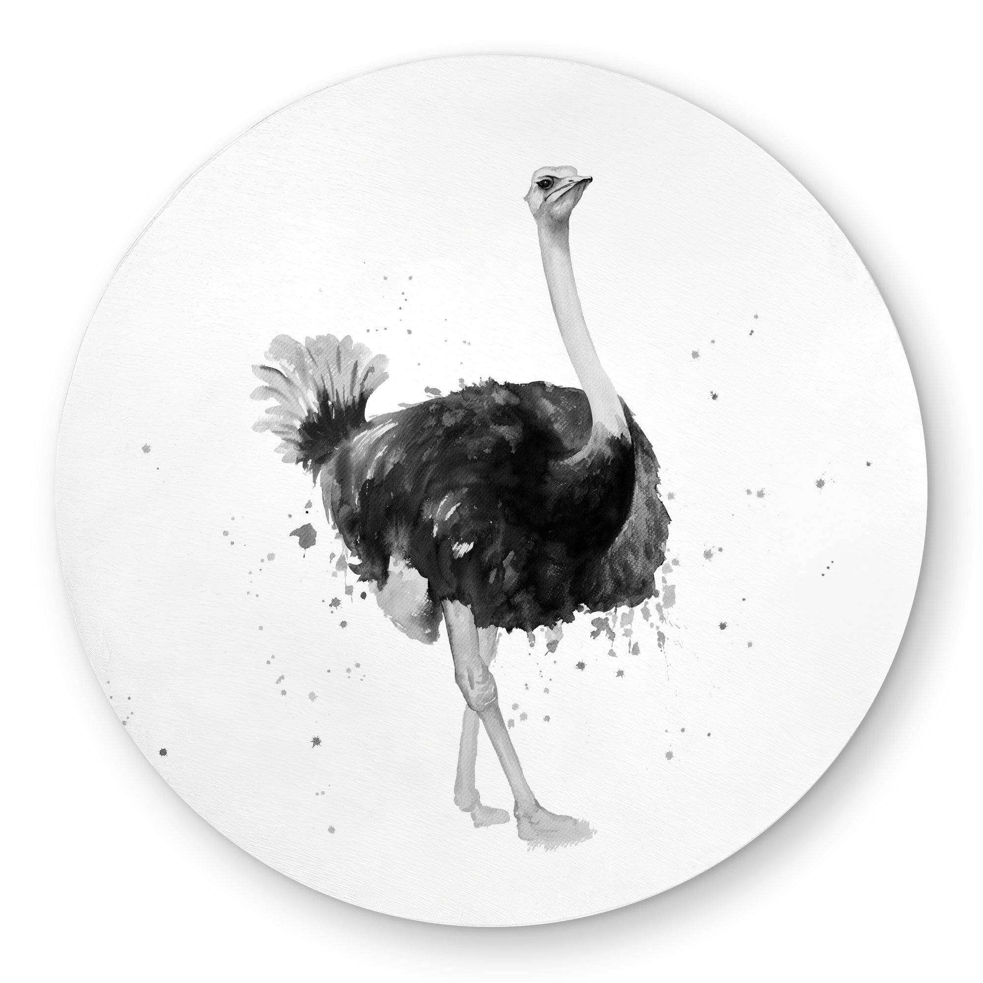 Begin Edition International Inc. Proud Ostrich | Office Wildlife Round ...
