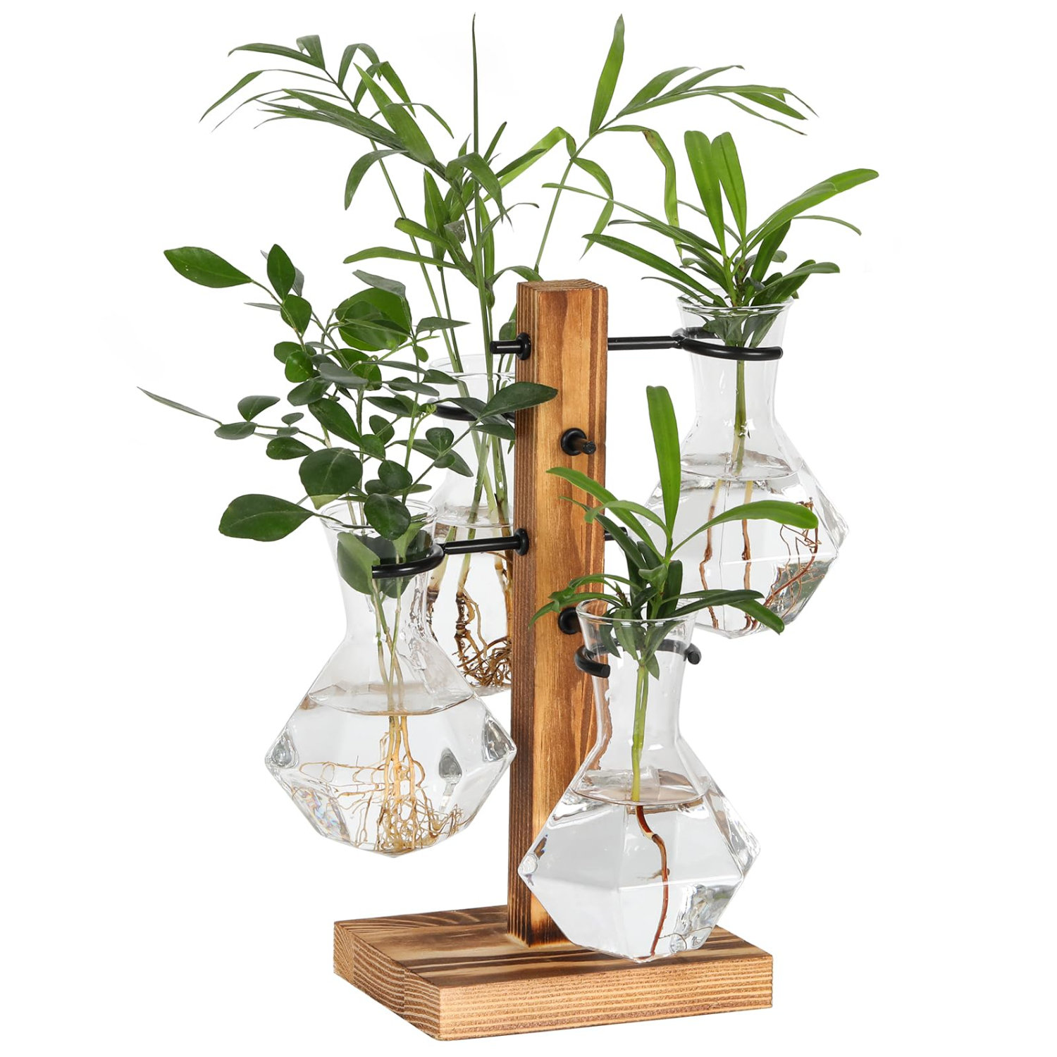 Ophelia & Co. Planter Terrariums Kit, Desktop Hydroponics Air Planter ...