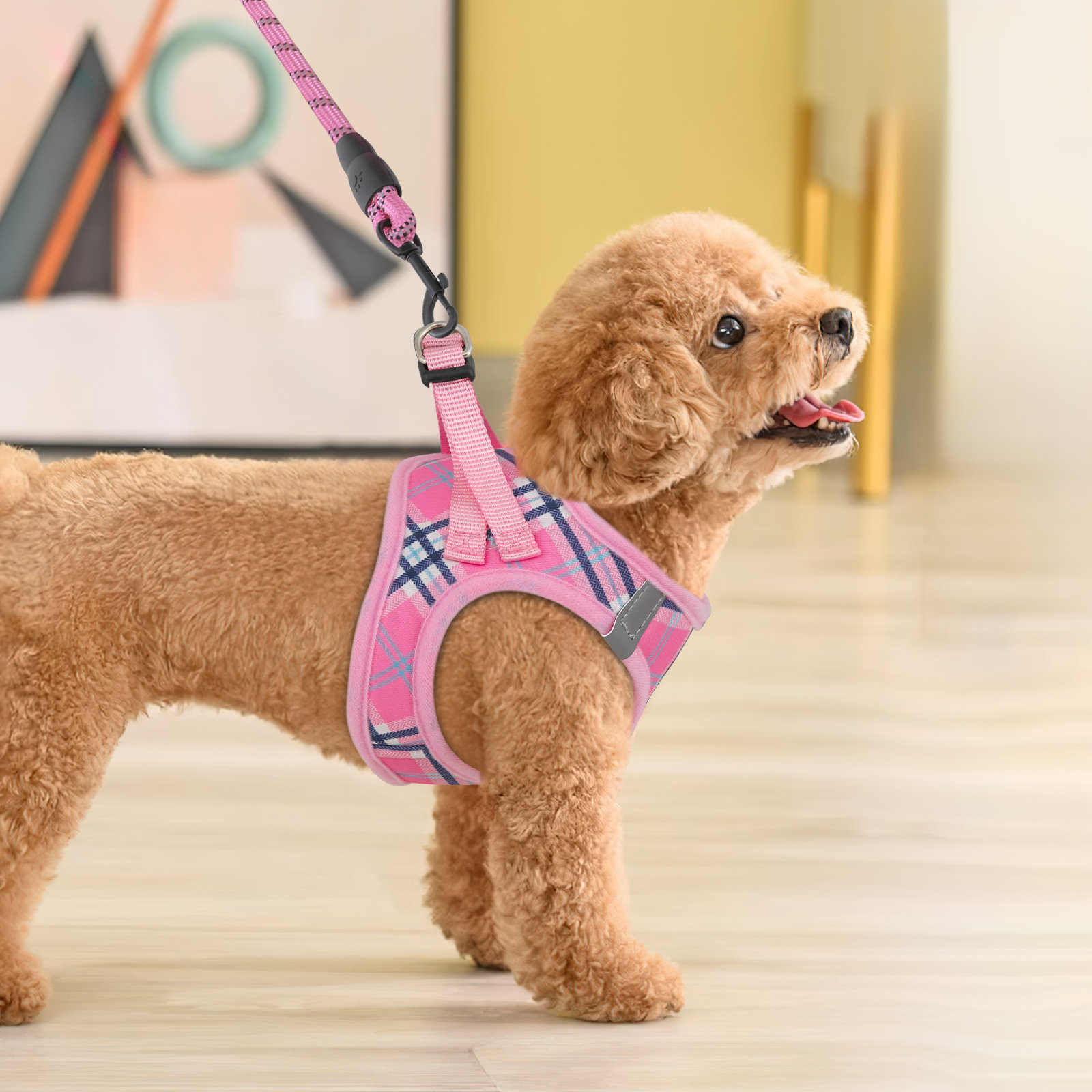 Tucker Murphy Pet™ No-Pull Dog Harness with Leash Adjustable Breathable ...