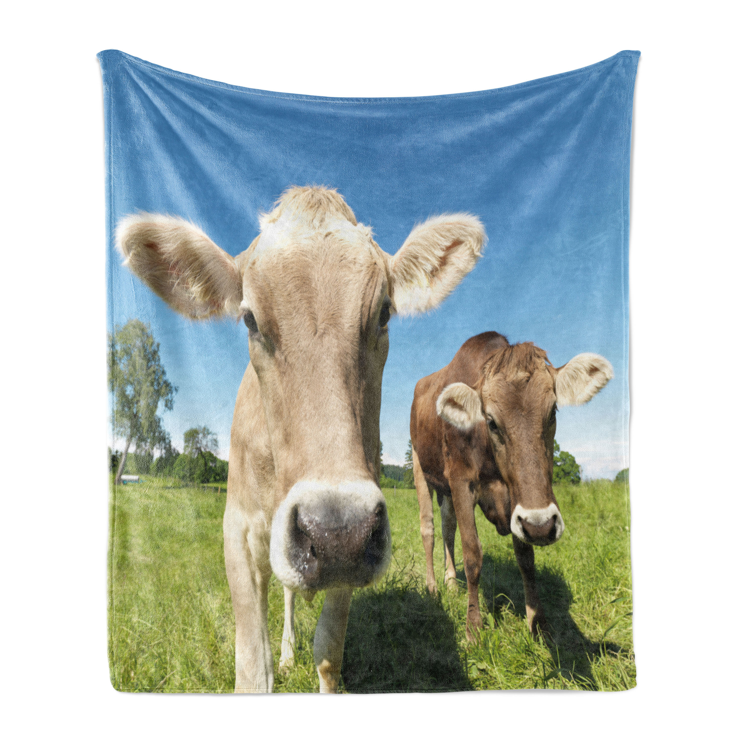 Ambesonne Farm Animal Fleece Throw Blanket Close up Cows Apple Green ...