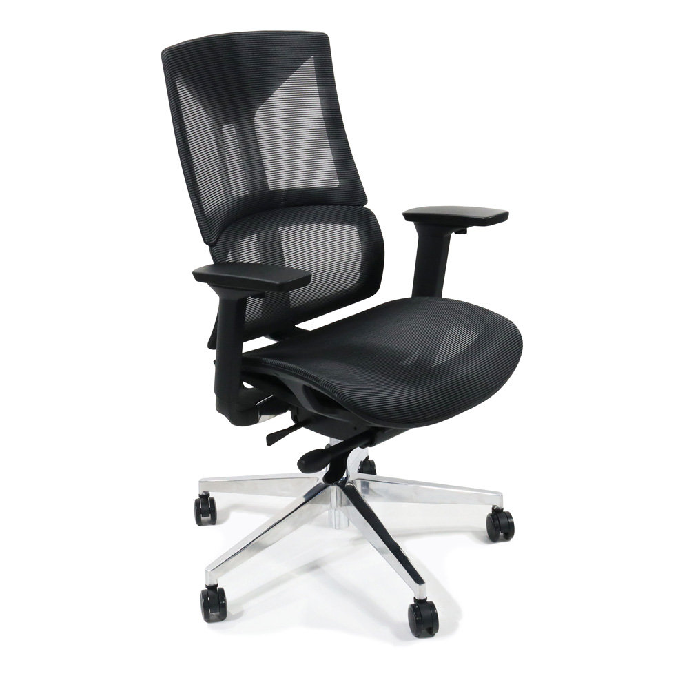 Skutchi Designs, Inc. Ergonomic Executive Chair | Wayfair