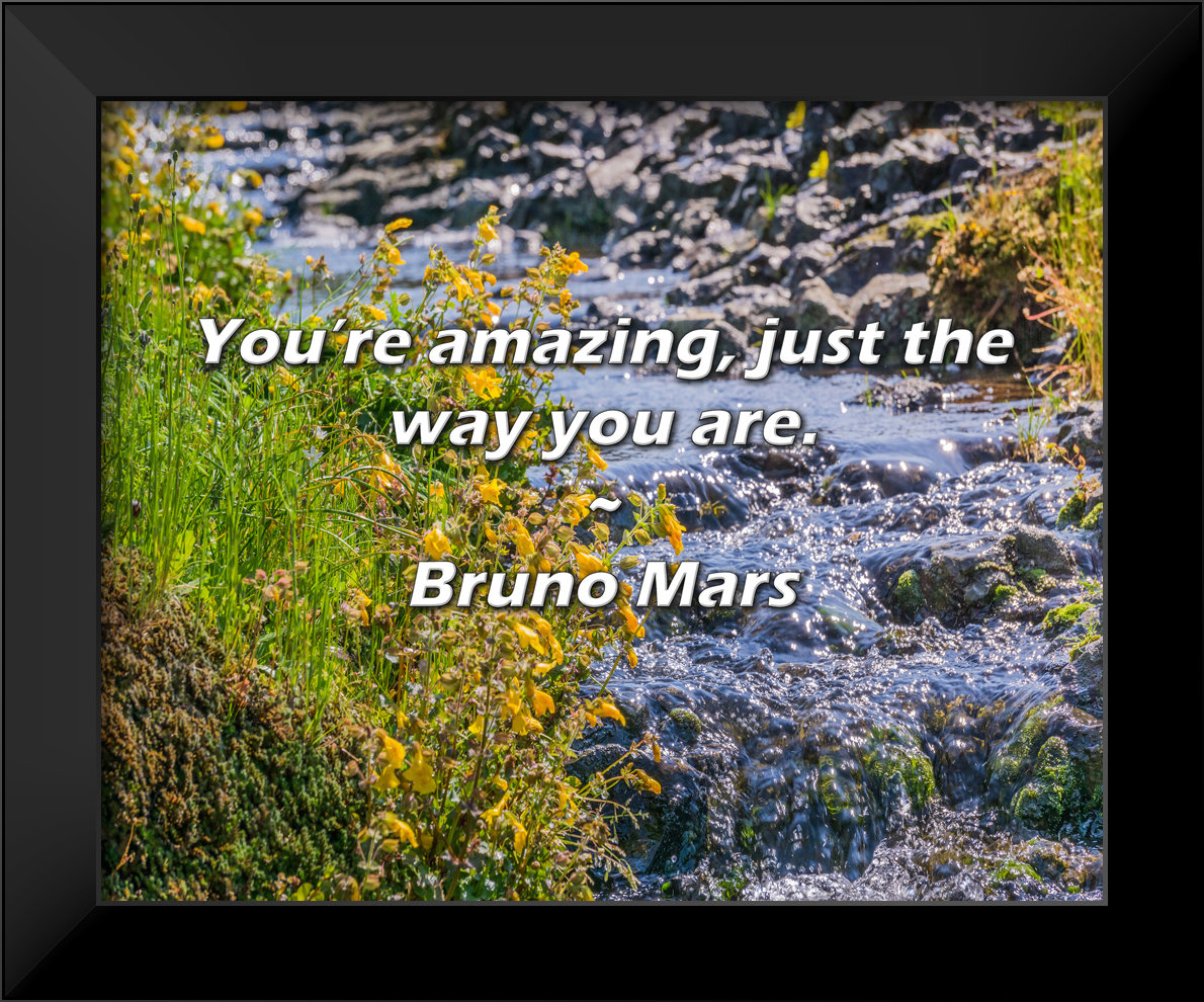 Latitude Run® Bruno Mars Quote: You’re amazing, just the way you are ...