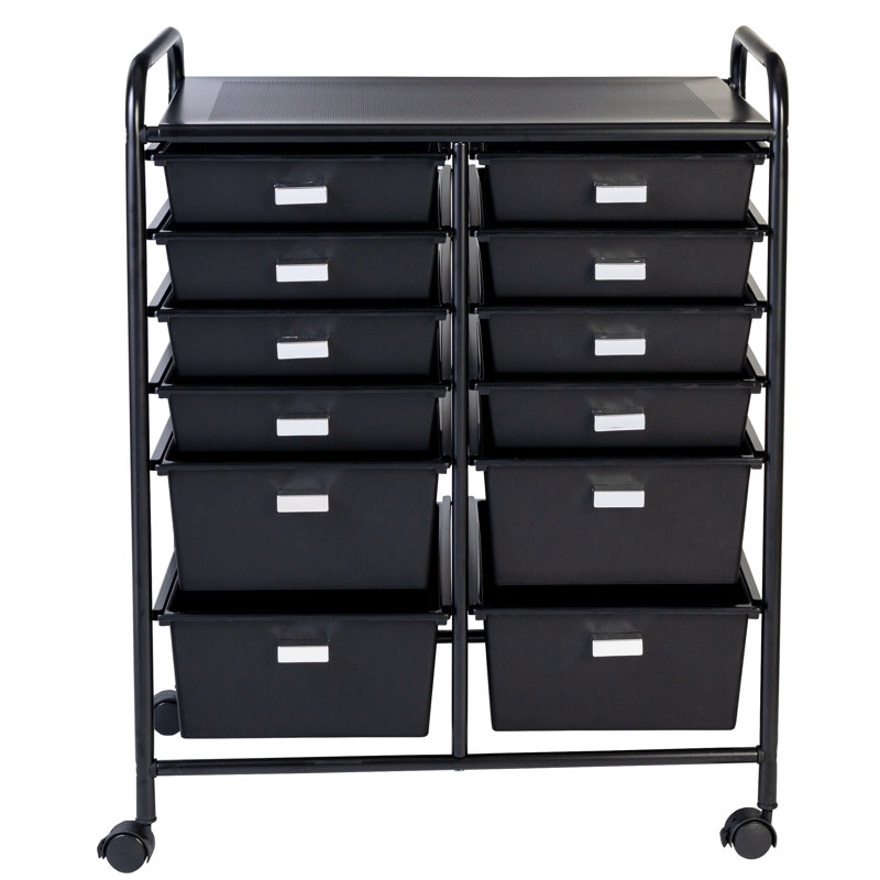 Rebrilliant Aiden 12 Drawer Storage Drawer & Reviews | Wayfair