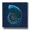 Epic Graffiti 'Cyanotype Sea 2' by Sue Schlabach Canvas Wall Art | Wayfair