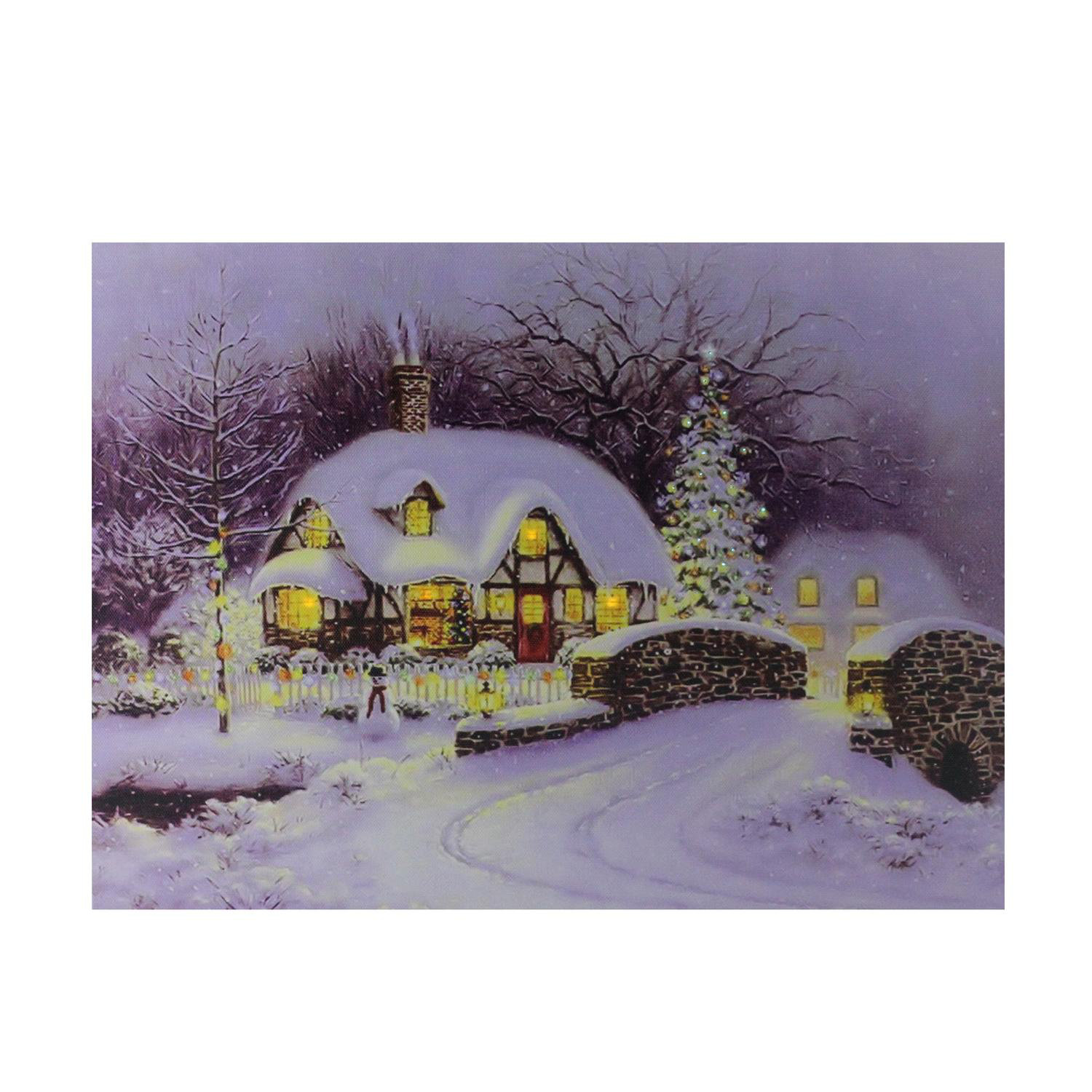 Northlight Seasonal Fiber Optic and LED Lighted Snowy Christmas House ...