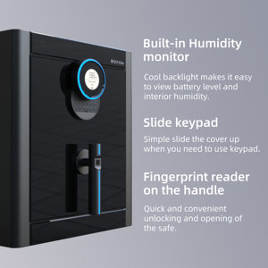 BOFON Security Box, Fingerprint Password Safe Box with Key,Built-in ...