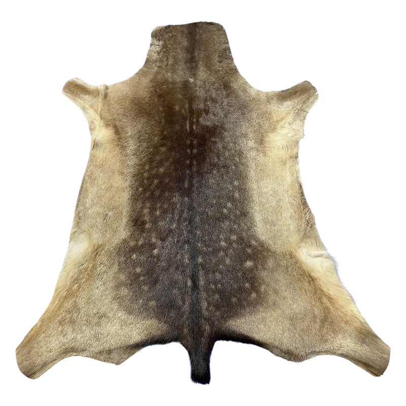 Foundry Select Real Fallow Deer Skin Rug | Wayfair