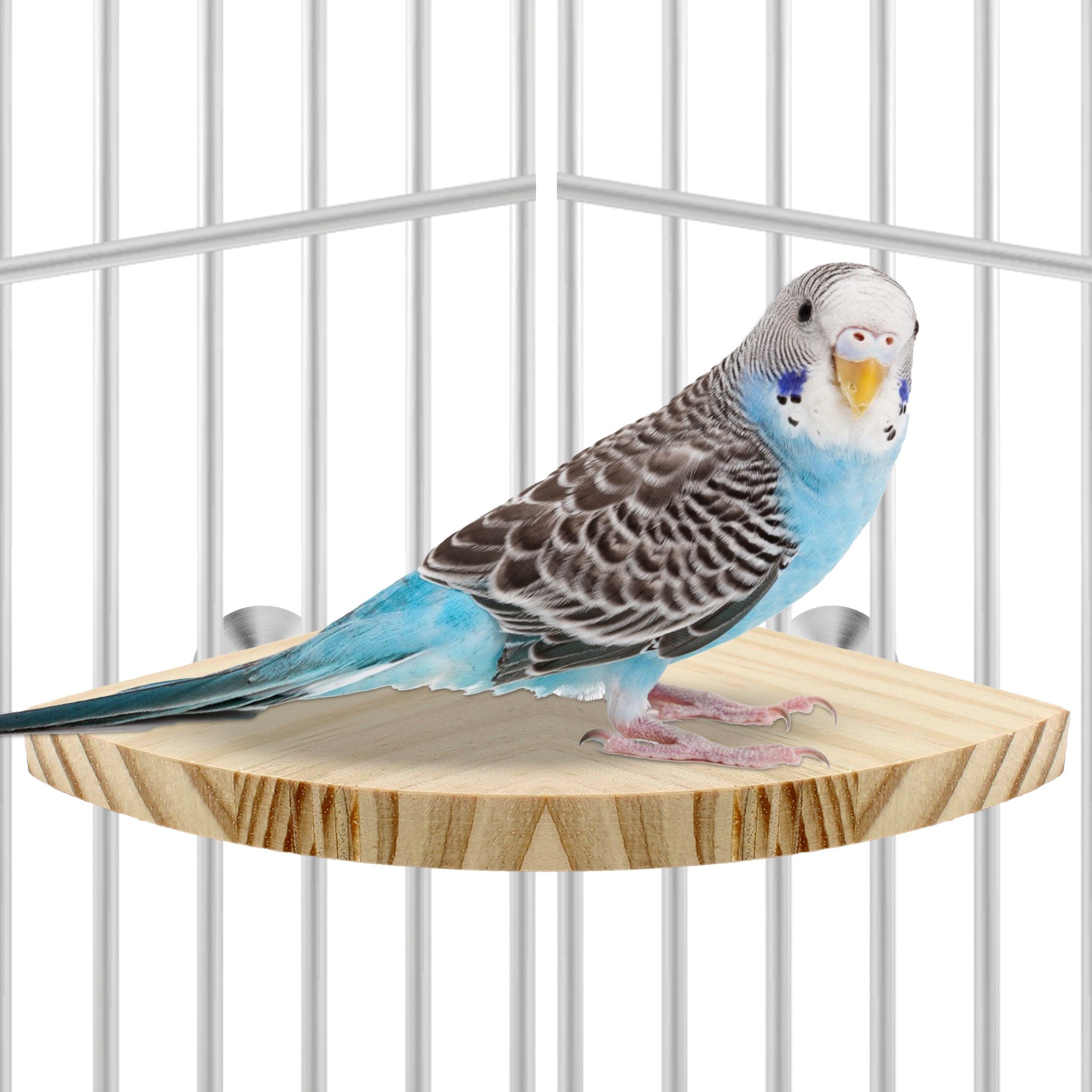 KNUTI Bird Cage Corner Perch Platform | Wayfair
