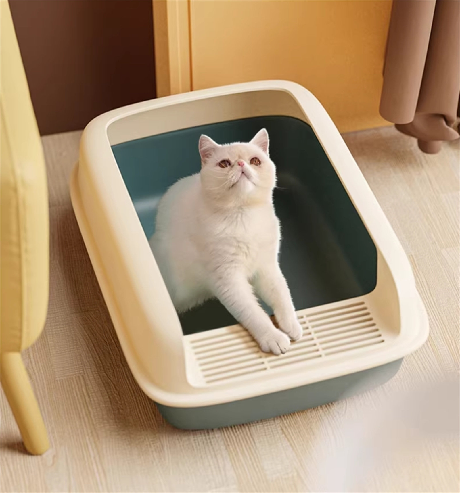 Archie & Oscar™ PP material cat litter basin | Wayfair