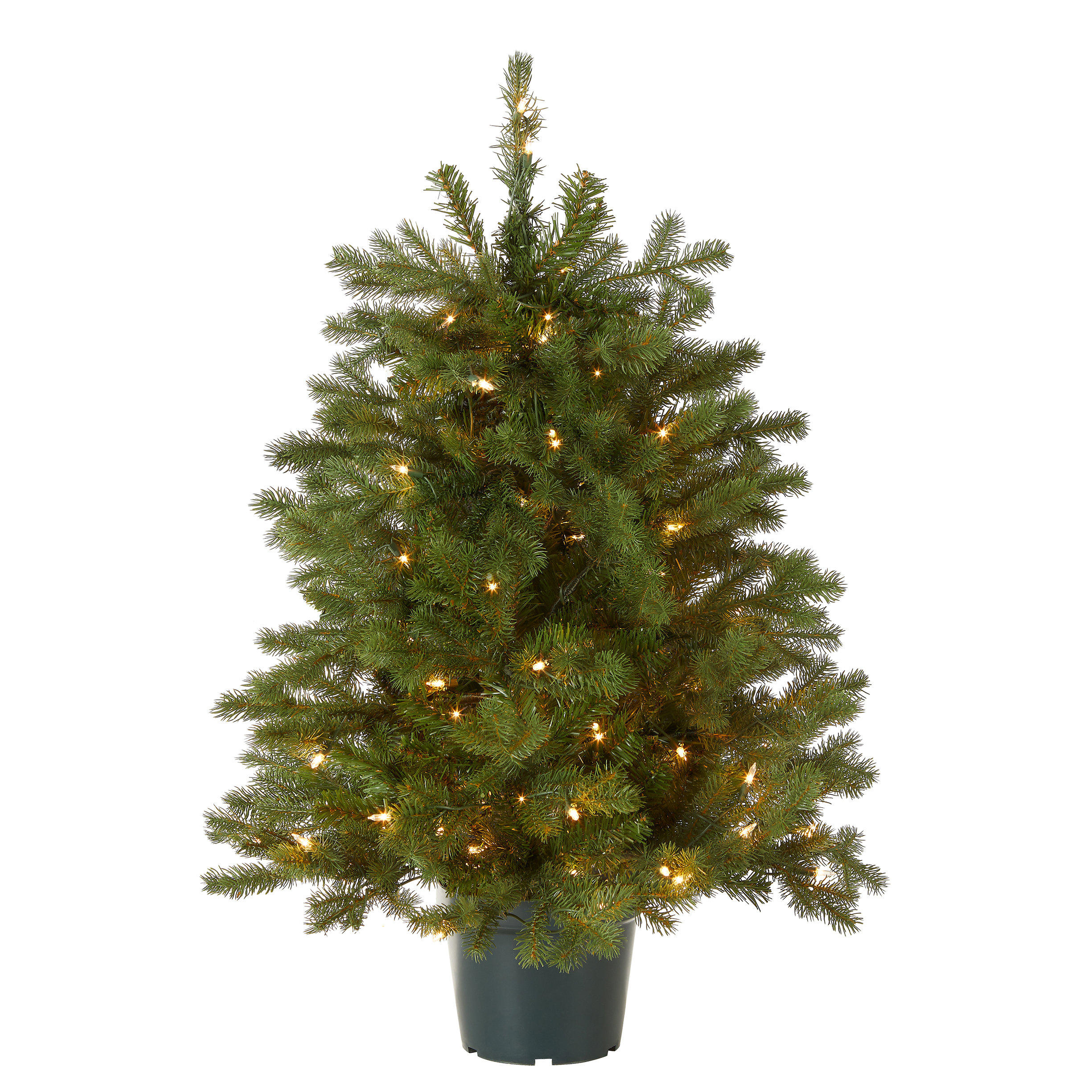 National Tree Company 3ft. Hampton Spruce Tree with Clear Lights ...