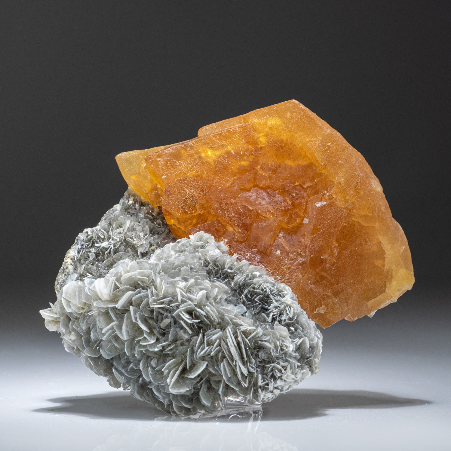 Astro Gallery of Gems Scheelite from Xue Bao Ding Mine, Ping Wu ...