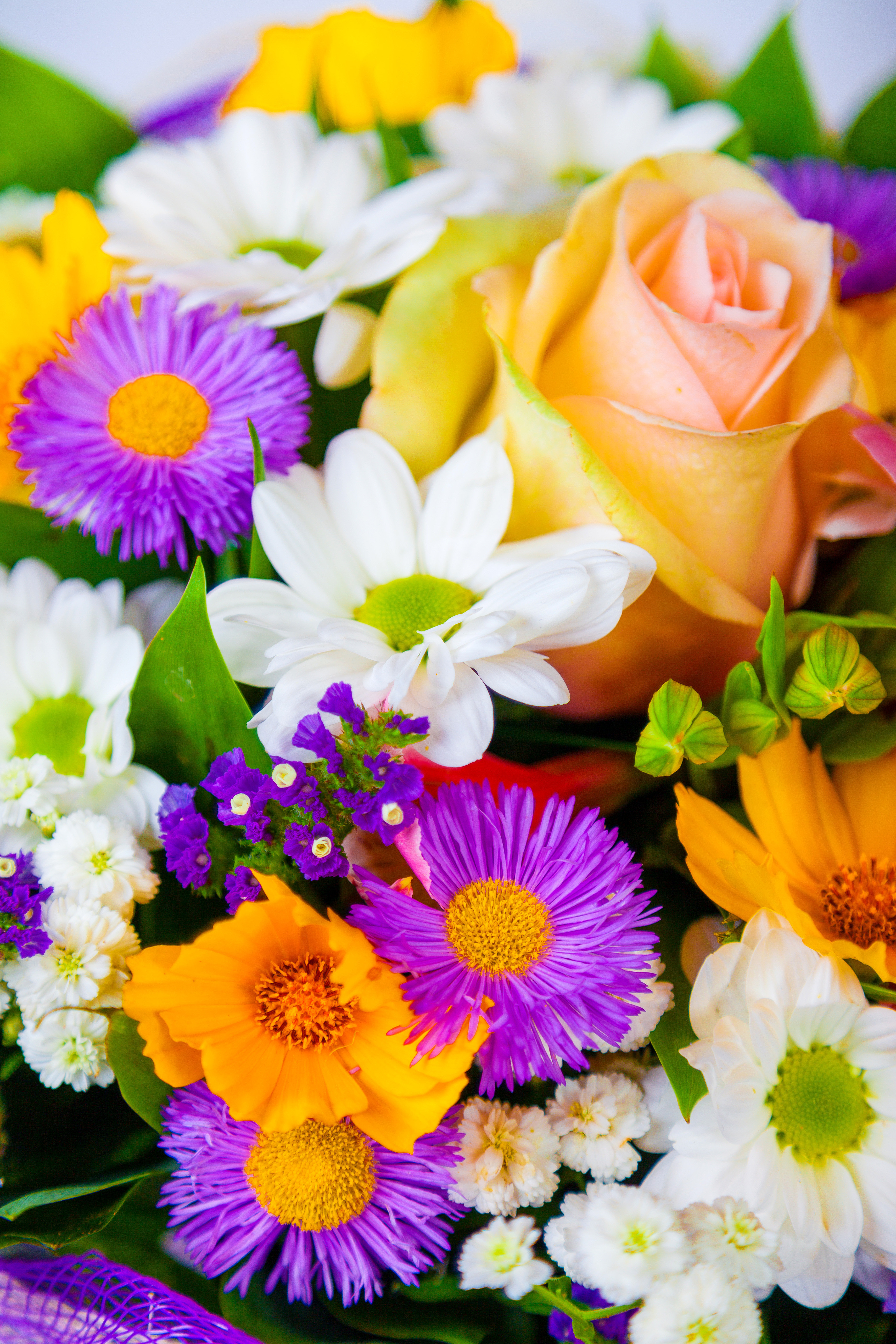 17 Stories Lawna Spring Flowers - Wrapped Canvas Photograph | Wayfair.ie