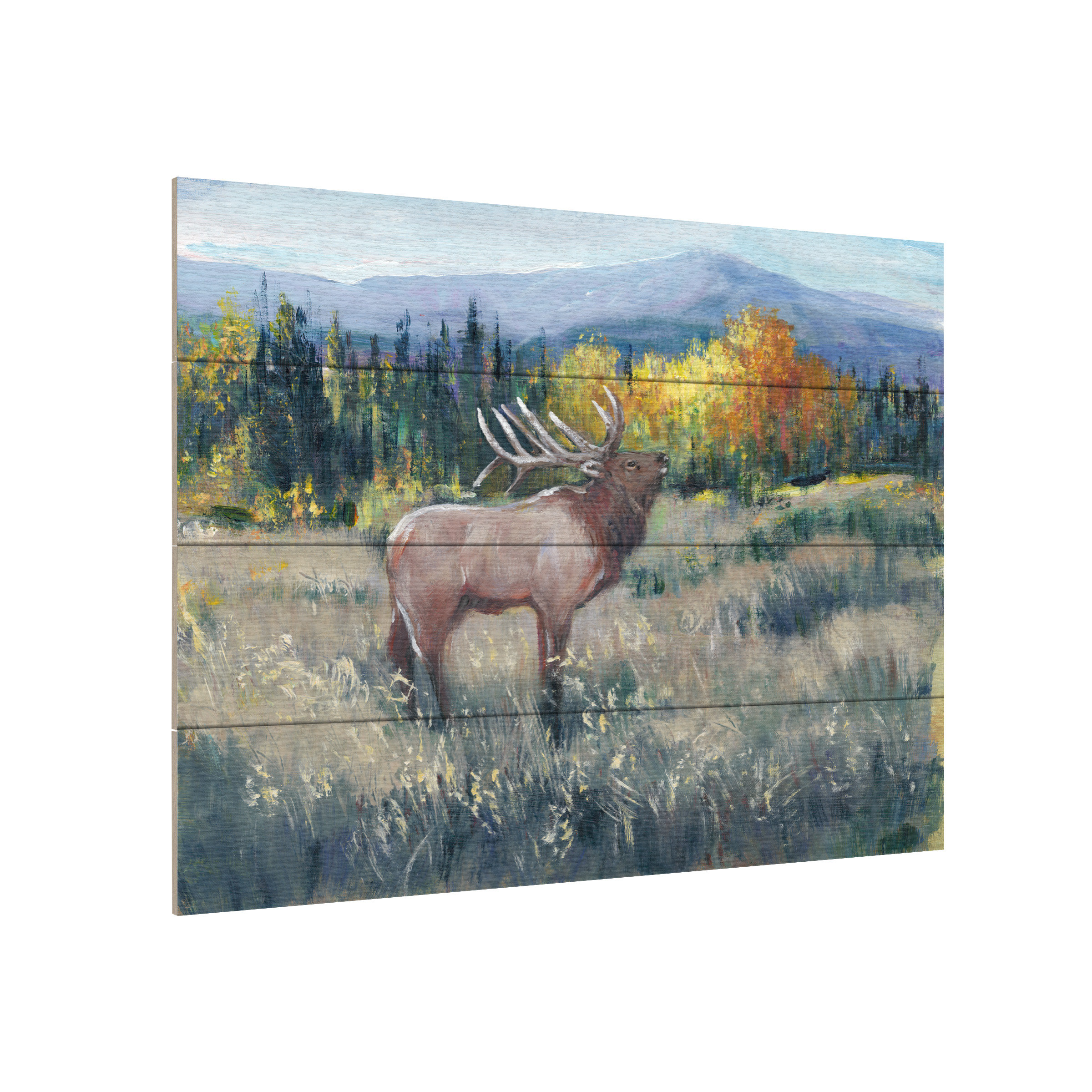 Trademark Fine Art Tim O'Toole 'Rocky Mountain Elk II' Wood Slat Art ...