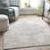 Laurel Foundry Modern Farmhouse Hilyard Solid Color Rug & Reviews | Wayfair