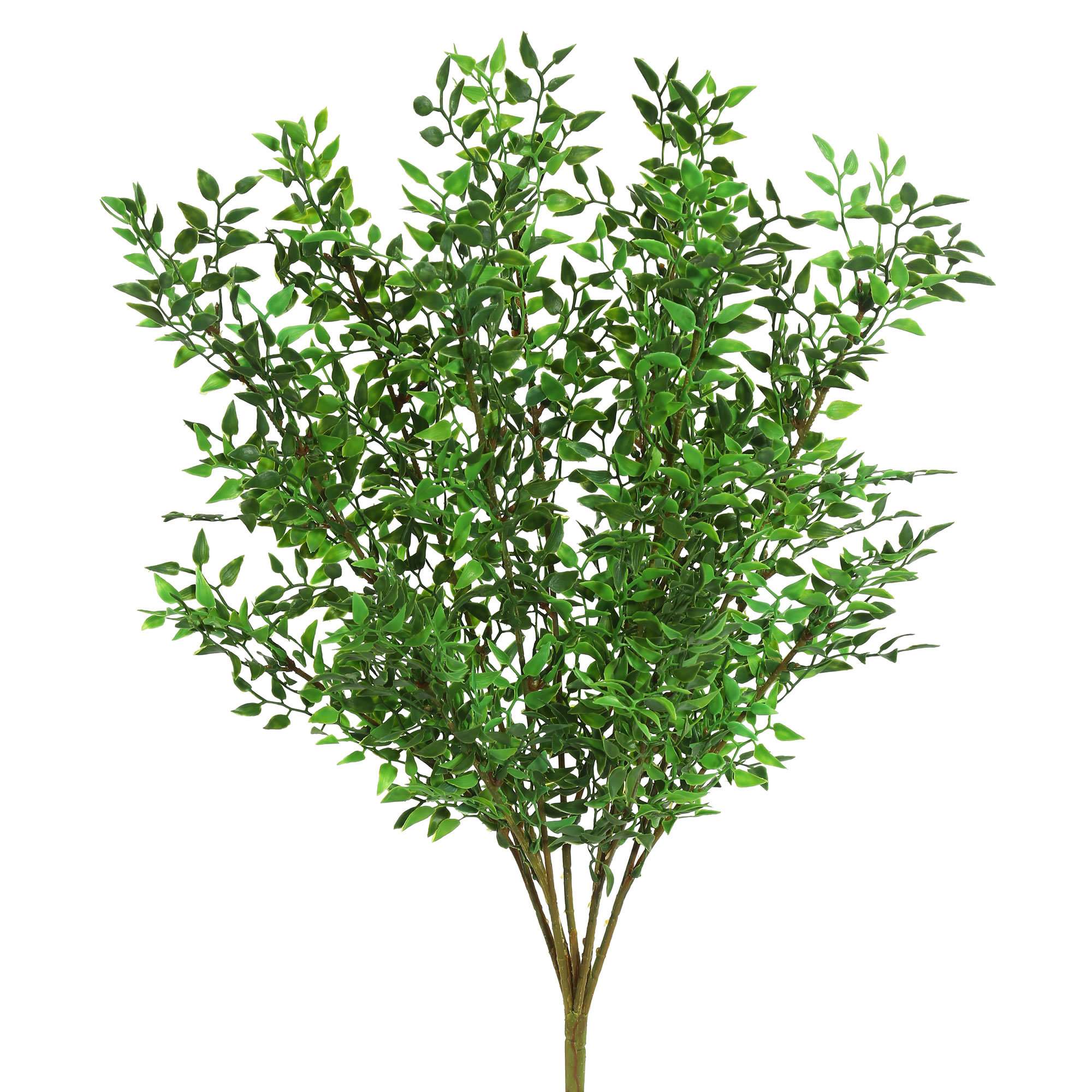 Birch Lane™ Cassiel Artificial Mini Smilax Stem & Reviews | Wayfair