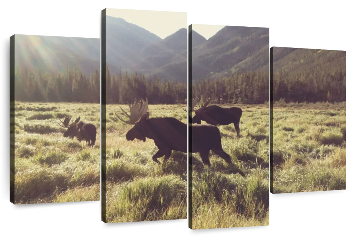 Ebern Designs Three Bull Moose - Wayfair Canada