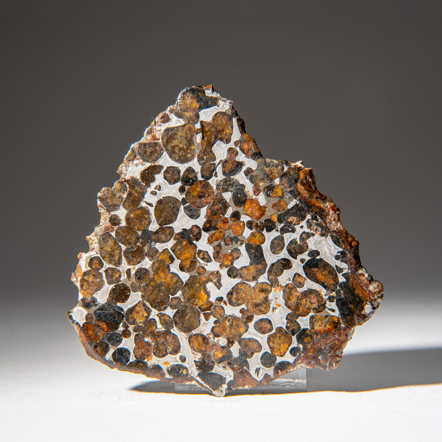 Astro Gallery of Gems Genuine Sericho Pallasite Meteorite Slab (83.3 ...
