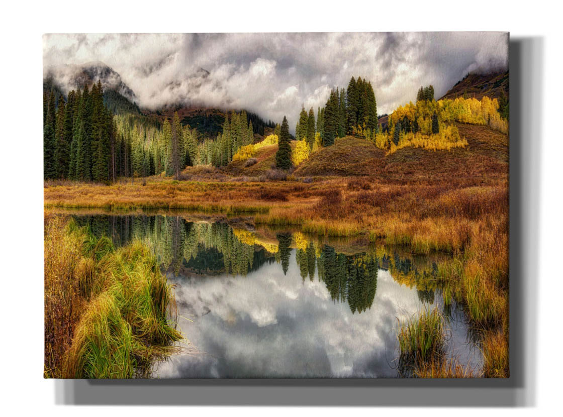 Epic Graffiti 'Transition Of The Seasons In Rocky Mountains' by Lena ...