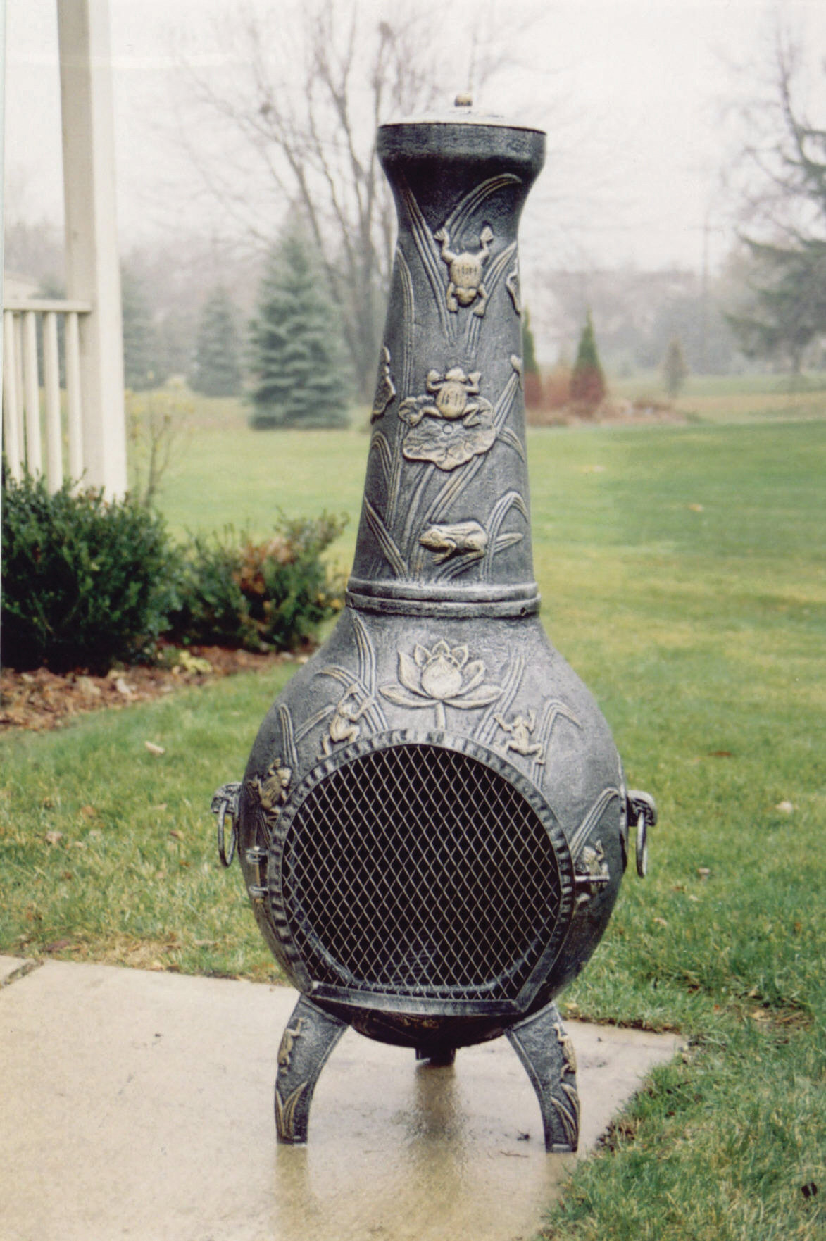 Ophelia & Co. Claudel Frog Cast Iron Wood Burning Chiminea | Wayfair