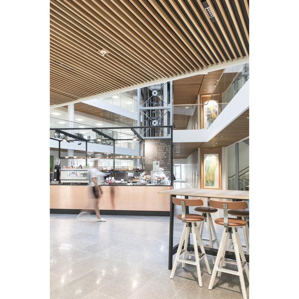 e-Joy 78.7in x 2in x 3.54in WPC Suspended Ceiling Tiles, Indoor Wood ...